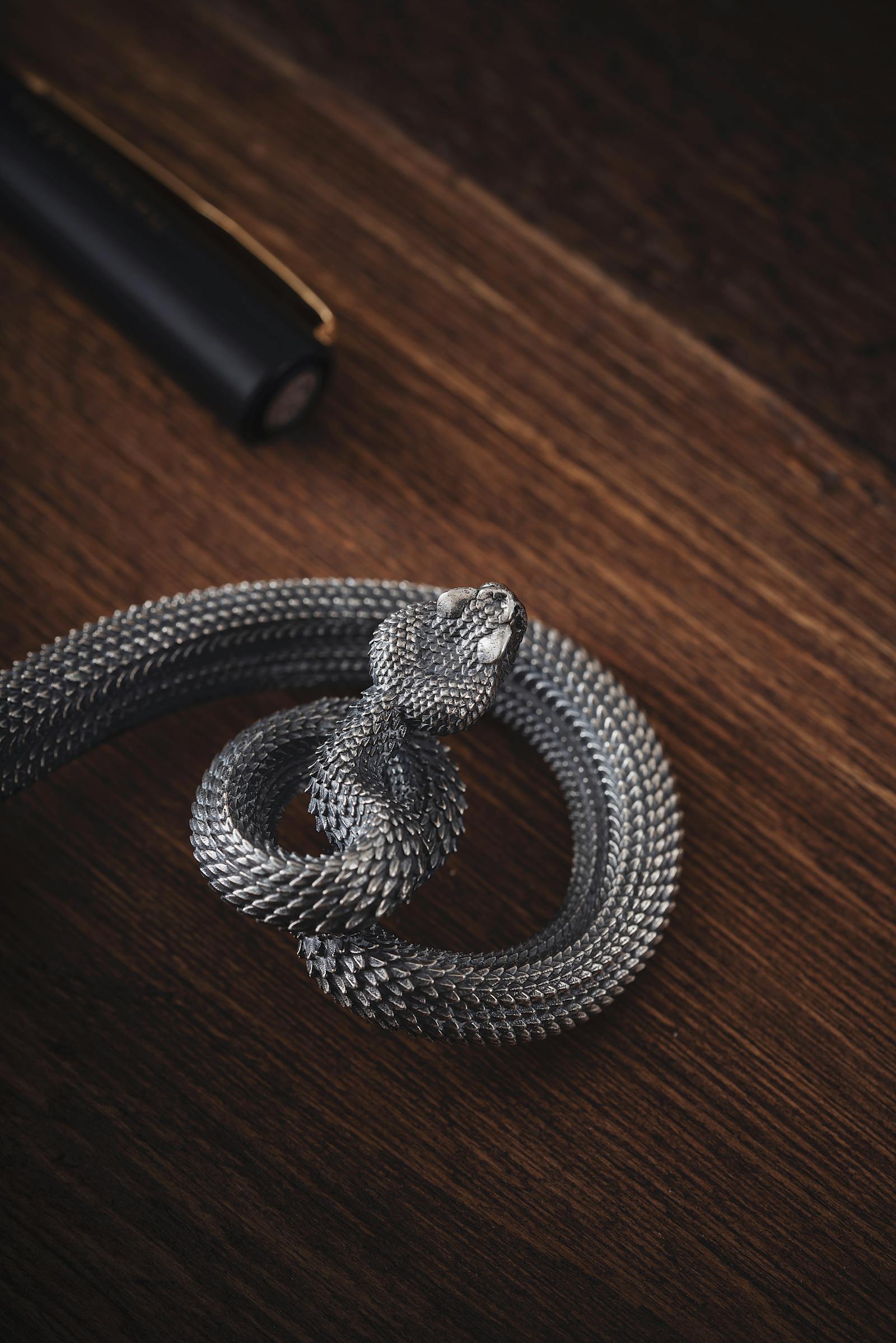 Snake Background Photos, Download The BEST Free Snake Background Stock ...