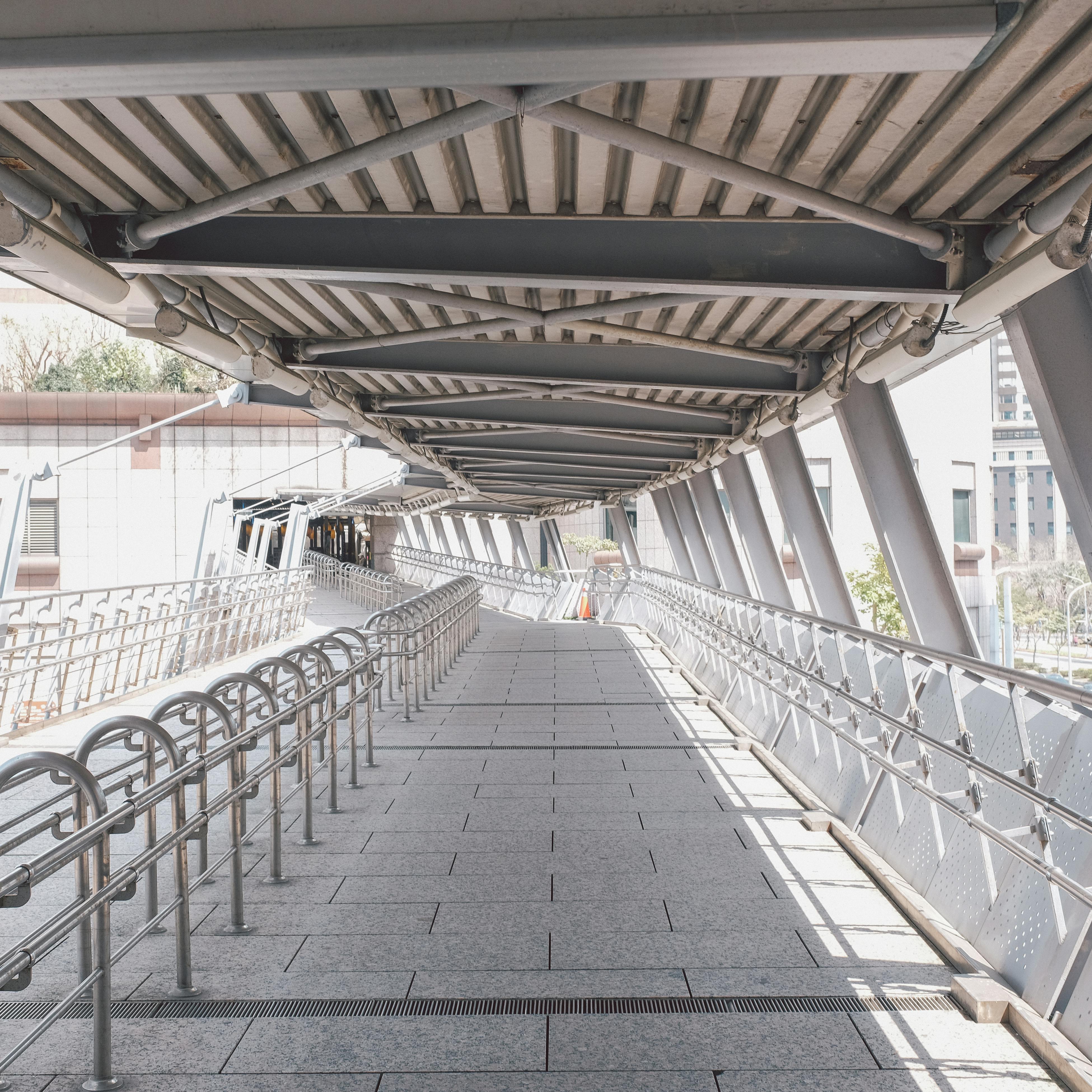 Trellis over Walkway and Cycle Path · Free Stock Photo