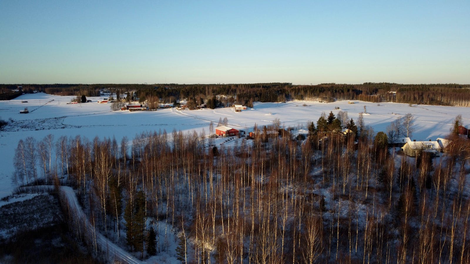 Forest Village Photos, Download The BEST Free Forest Village Stock ...