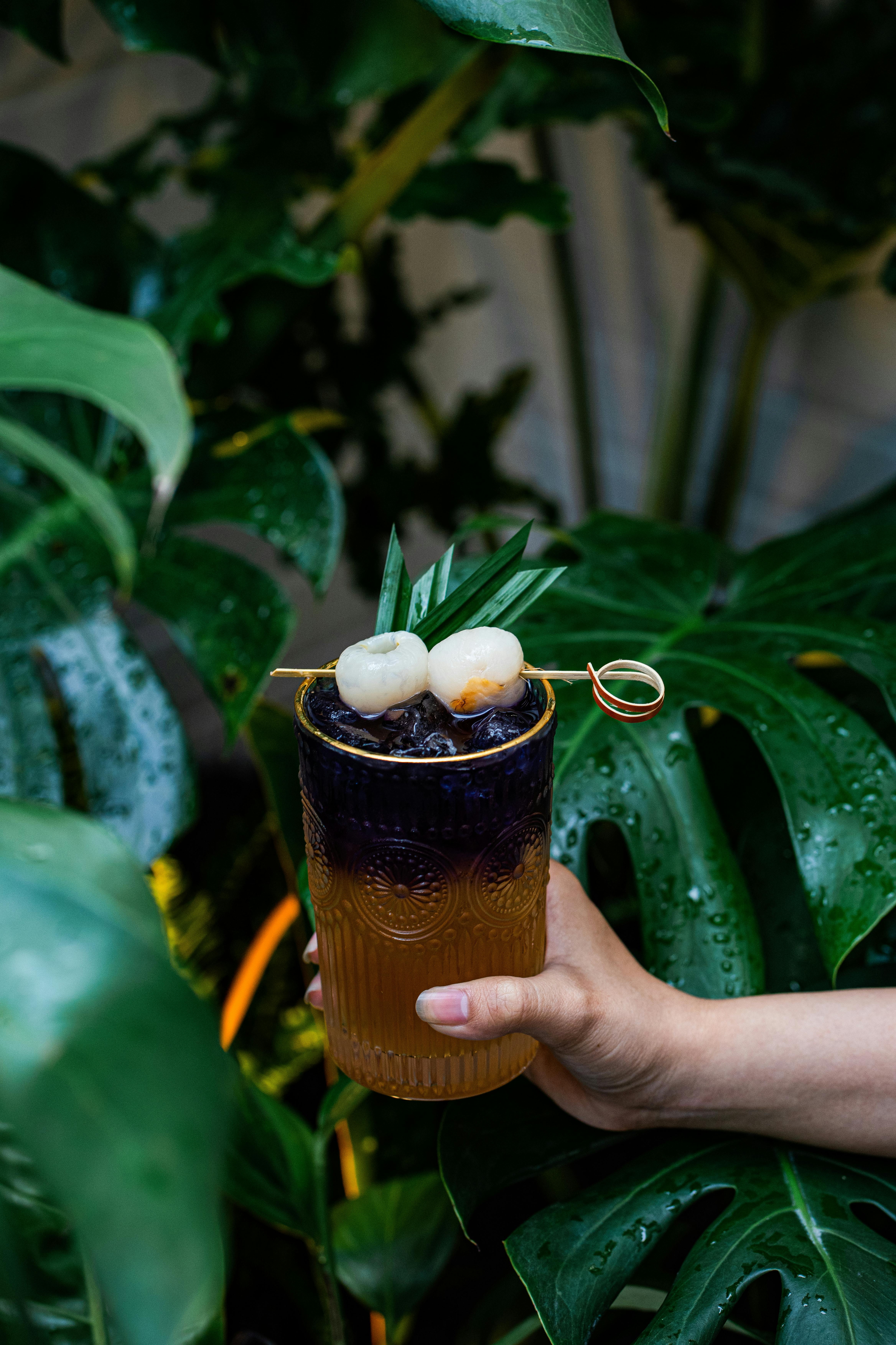 Hand Holding Fancy Cold Drink · Free Stock Photo