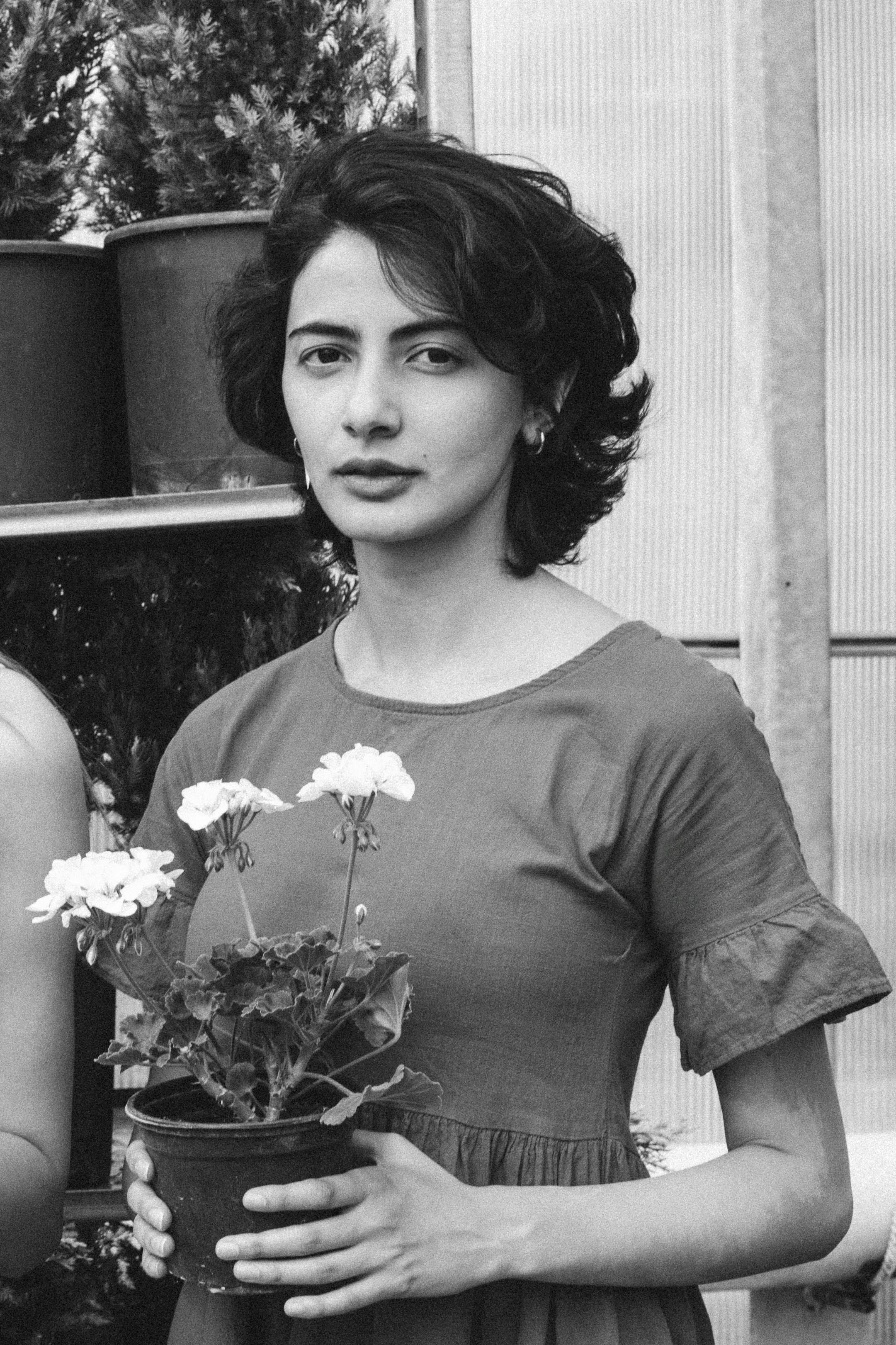 Flower Bracket Photos, Download The BEST Free Flower Bracket Stock ...