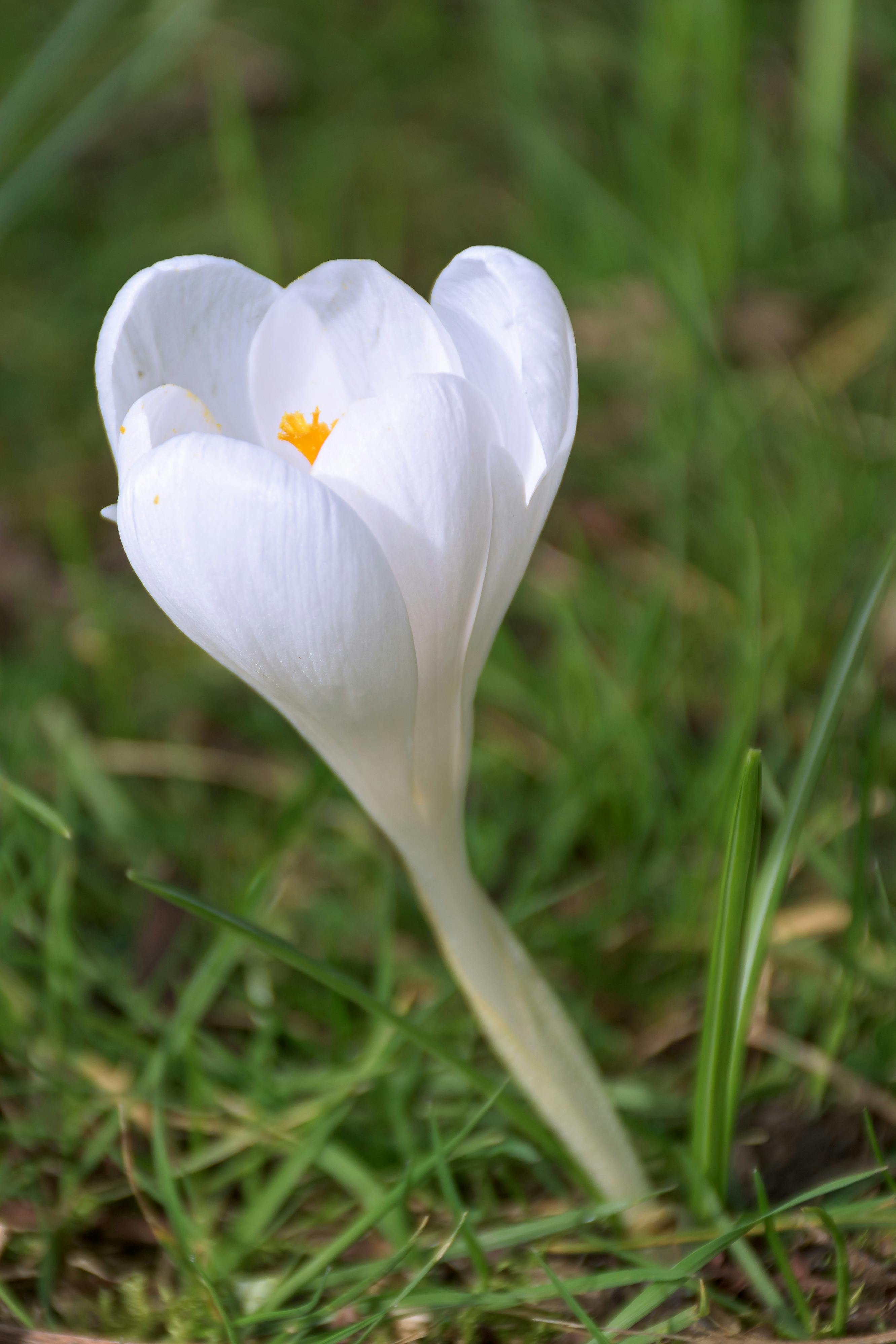 Irek Marcinkowski - Photography