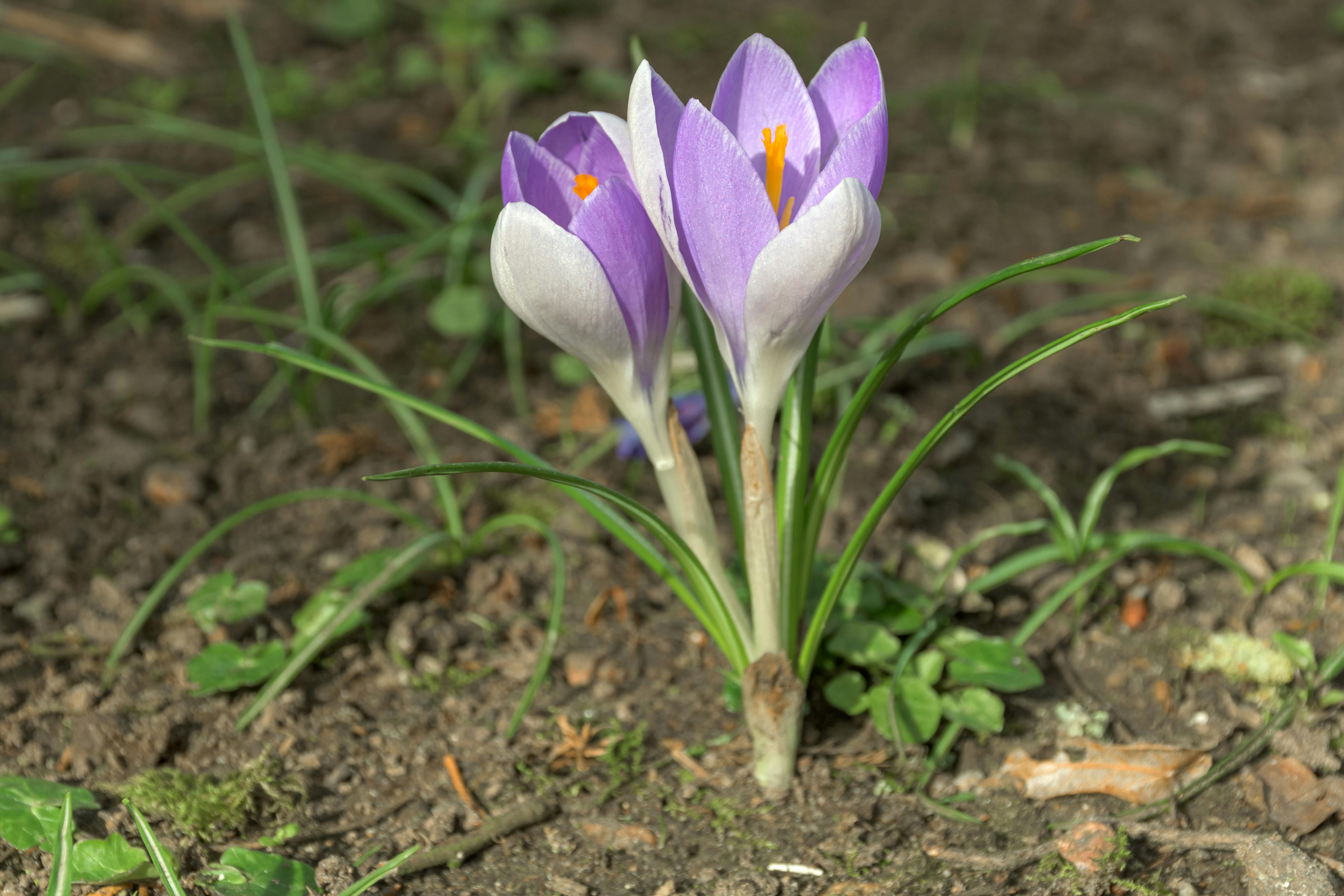 Irek Marcinkowski - Photography