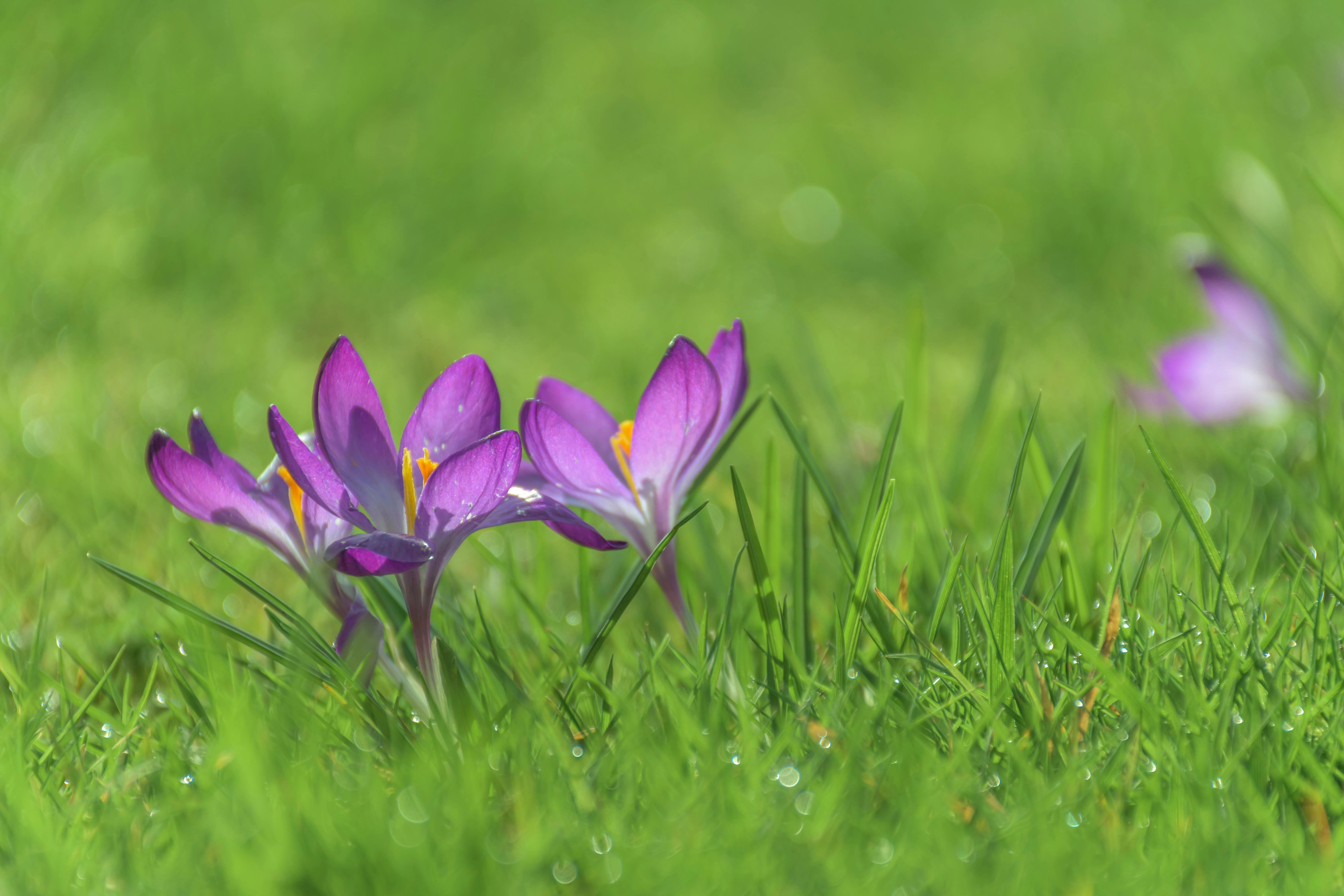 Irek Marcinkowski - Photography