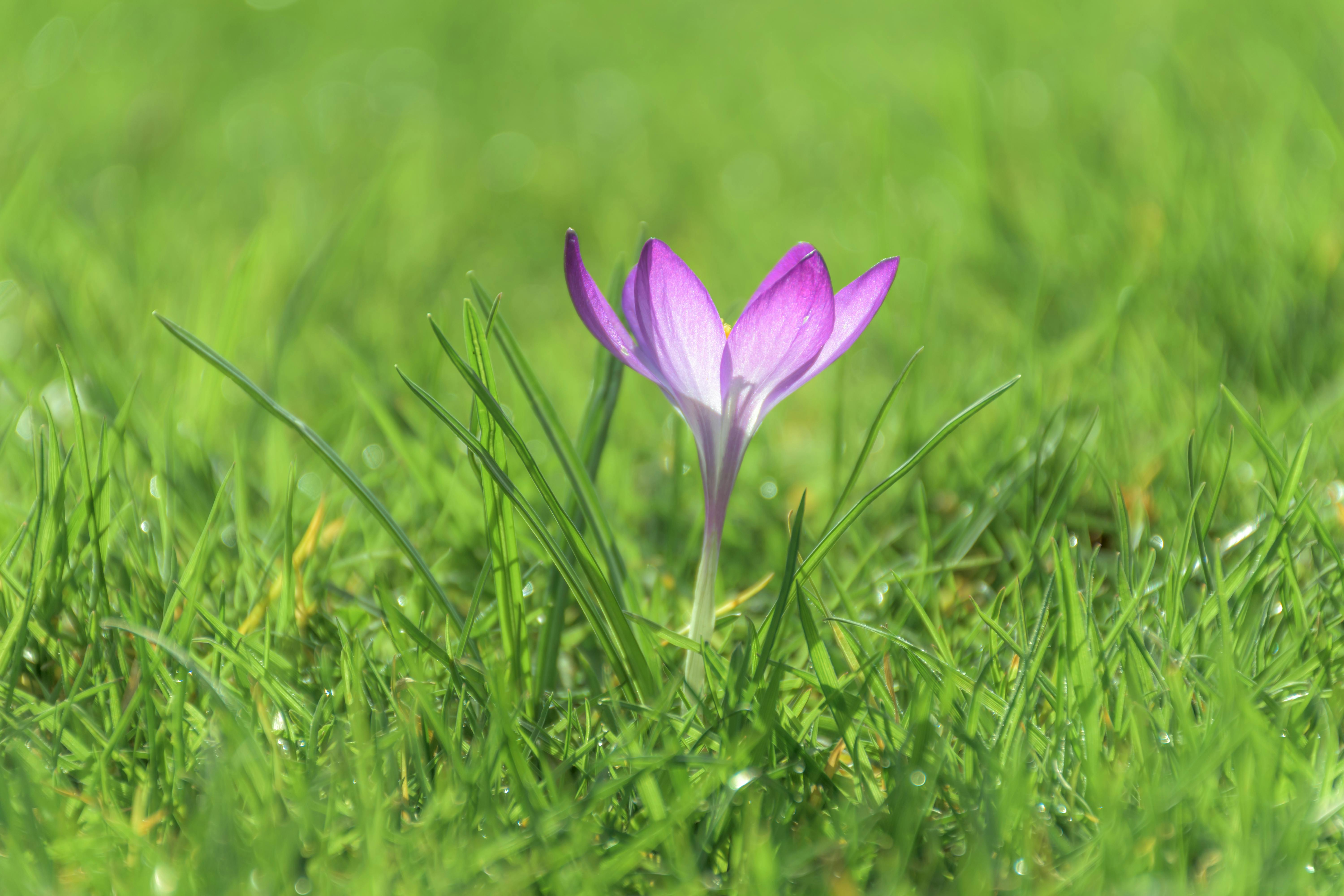 Irek Marcinkowski - Photography