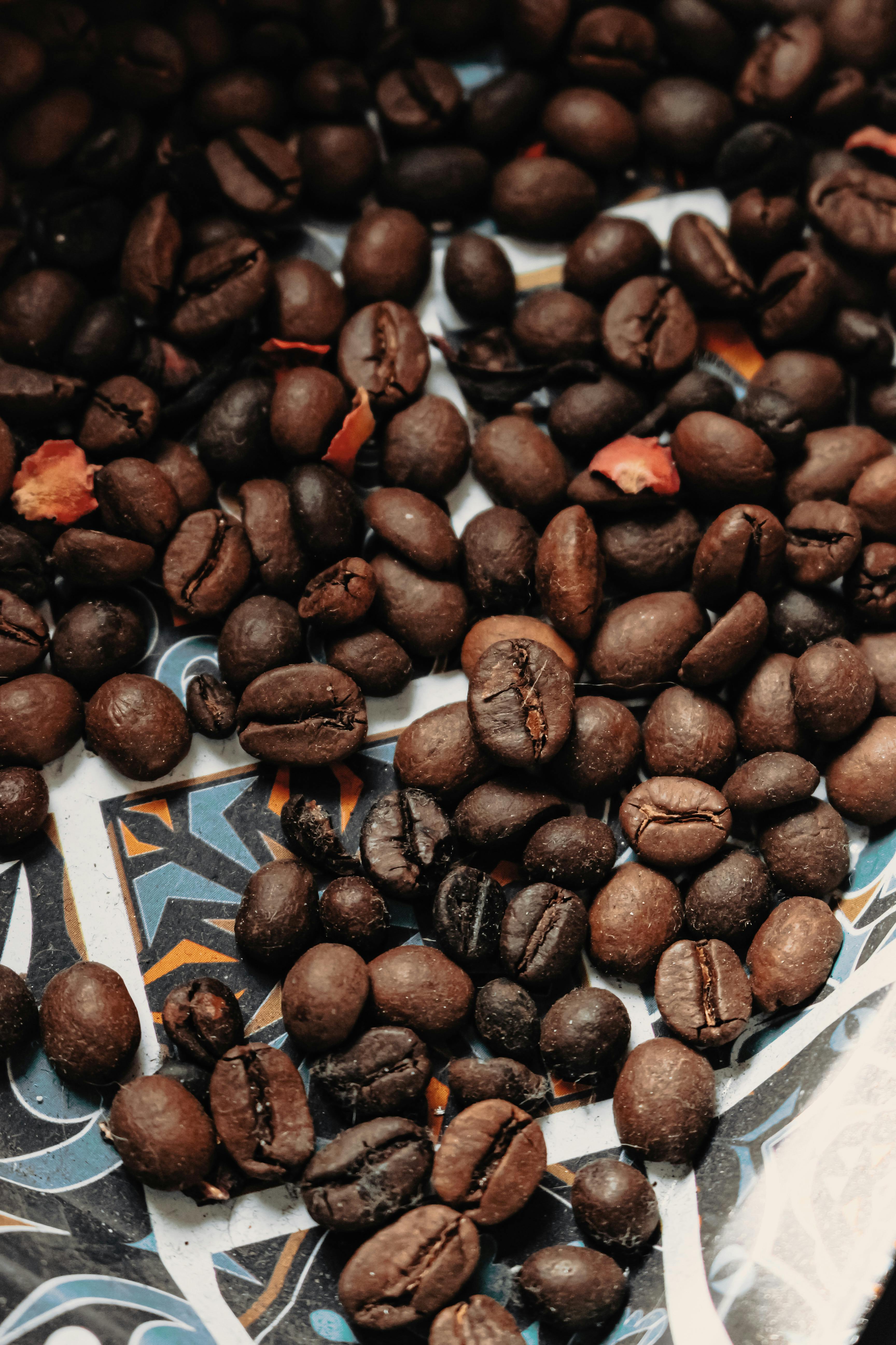 Brown Coffee Bean · Free Stock Photo