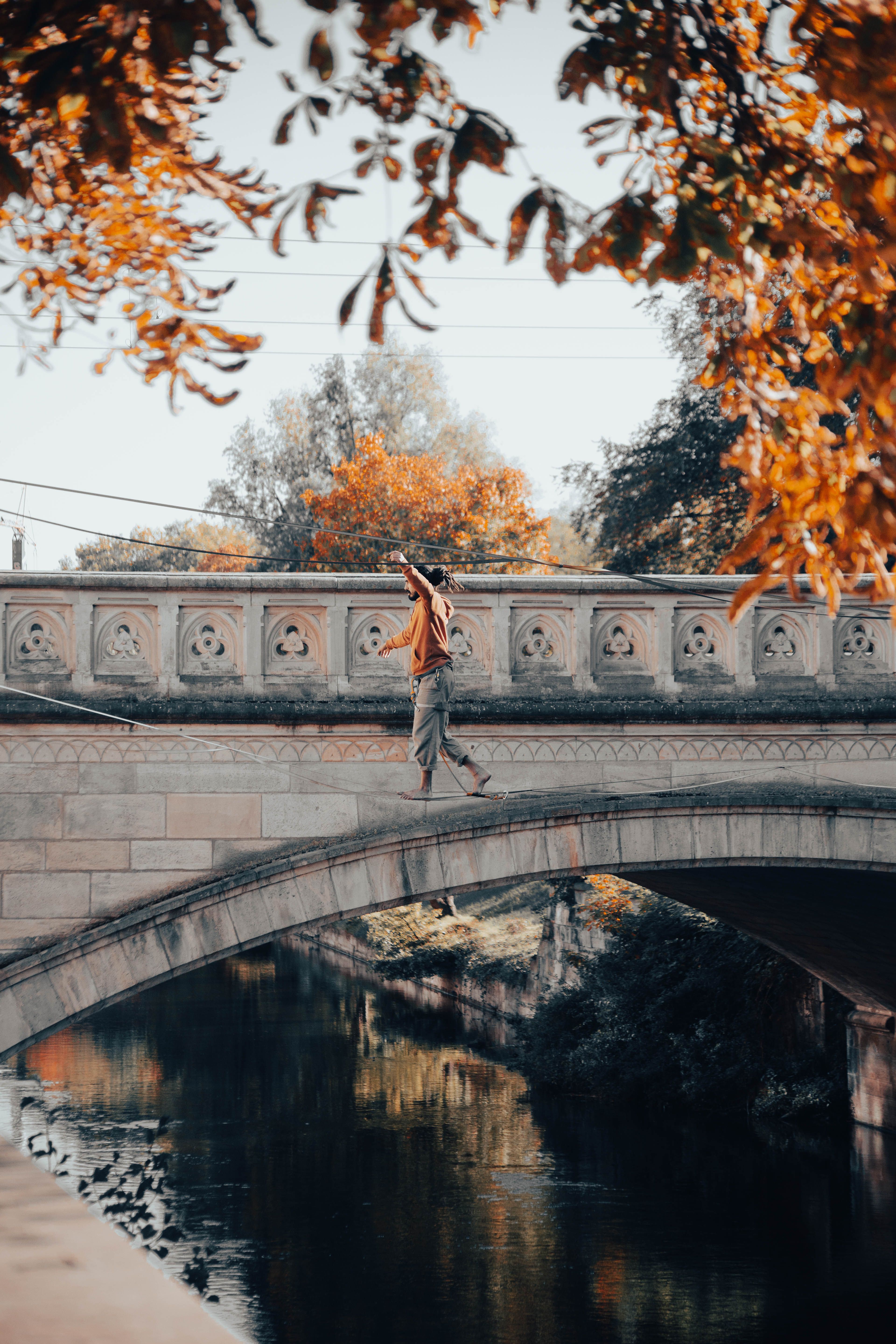 Fall In Line Photos, Download The BEST Free Fall In Line Stock Photos ...