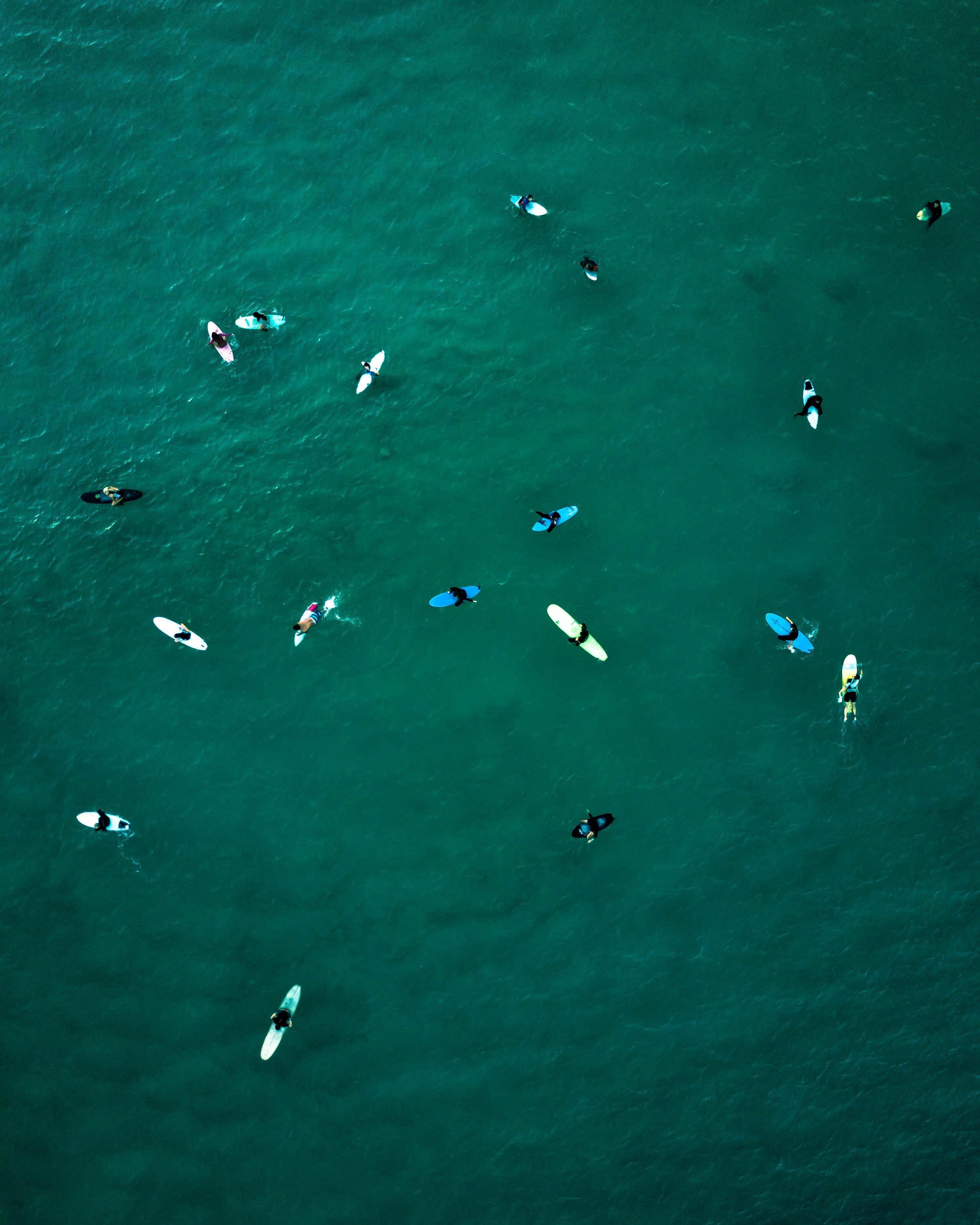 Aerial View of Kayaks · Free Stock Photo