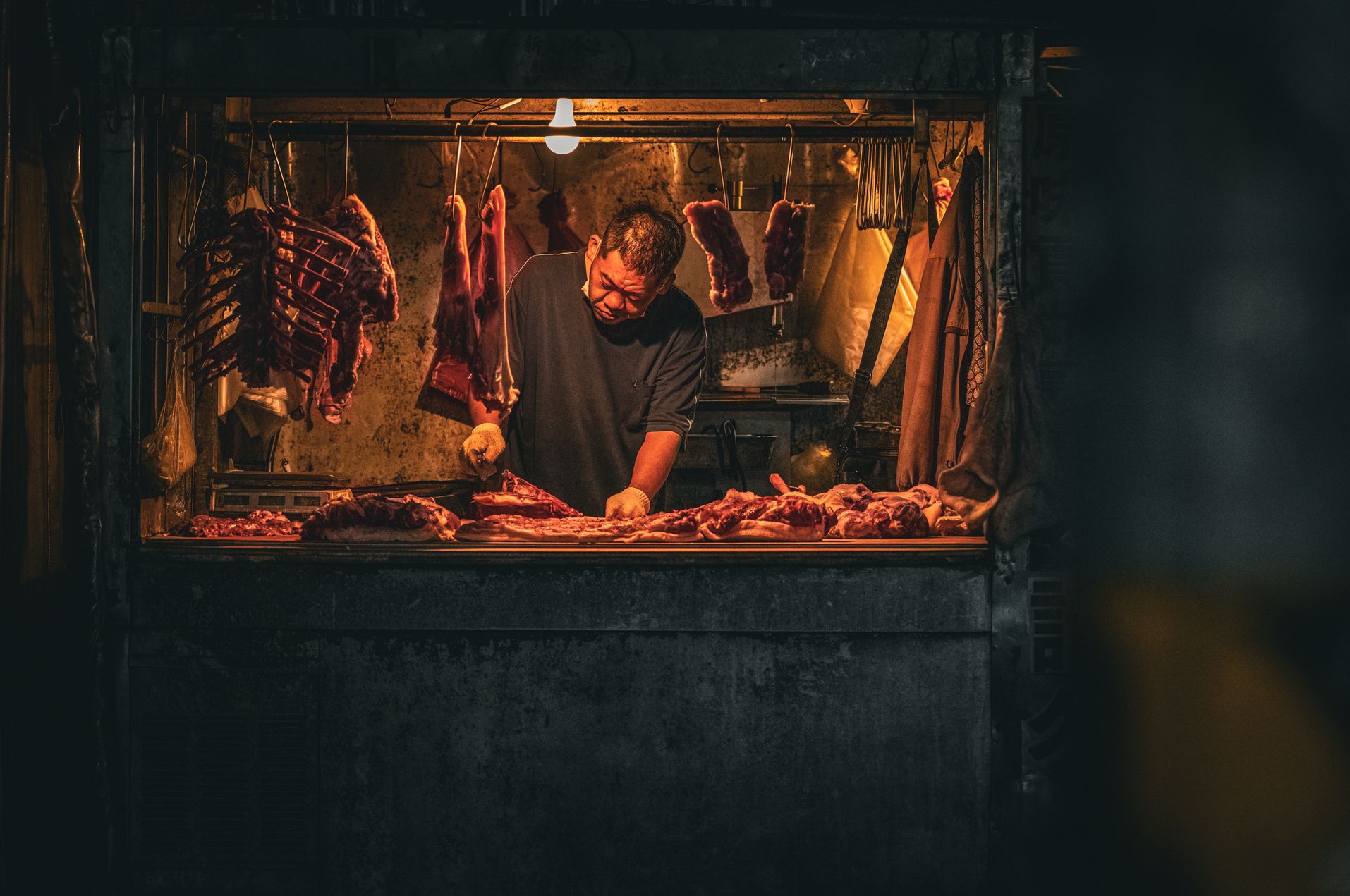 Dog Meat Trade Debated: Culture vs. Compassion