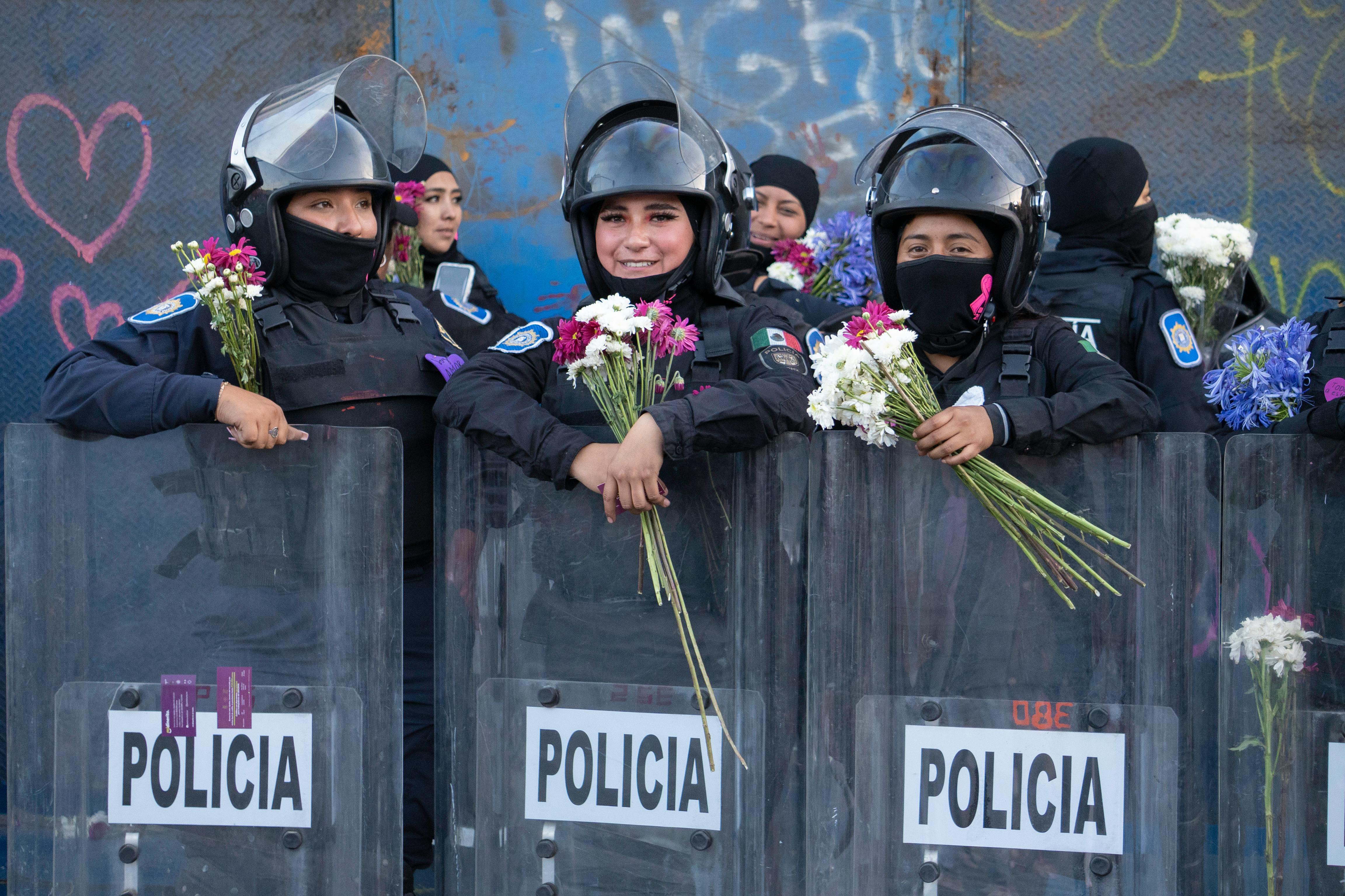 Police Case Files Photos, Download The BEST Free Police Case Files ...