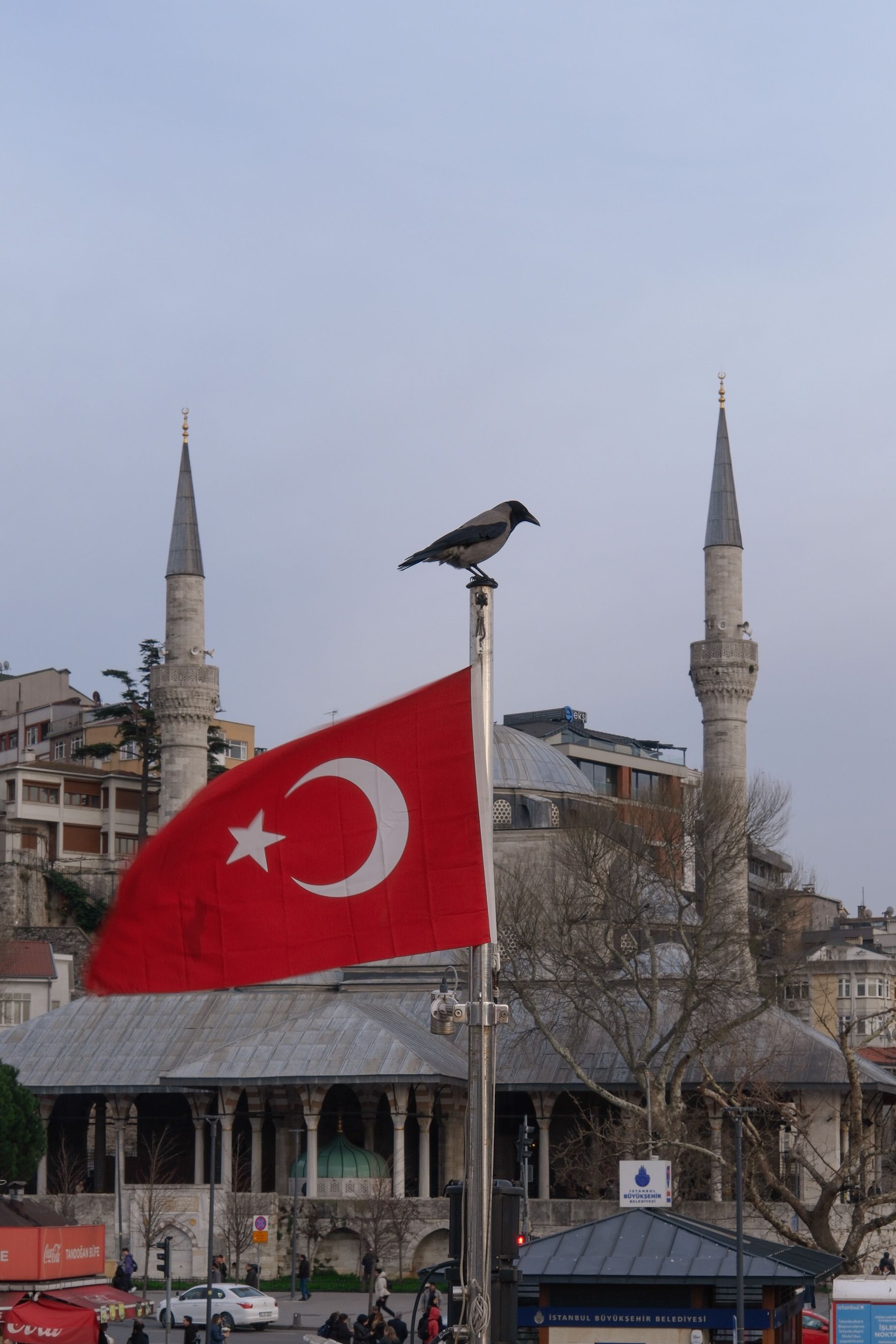 A bird sits on top of a flagpole in front of a mosque · Free Stock Photo