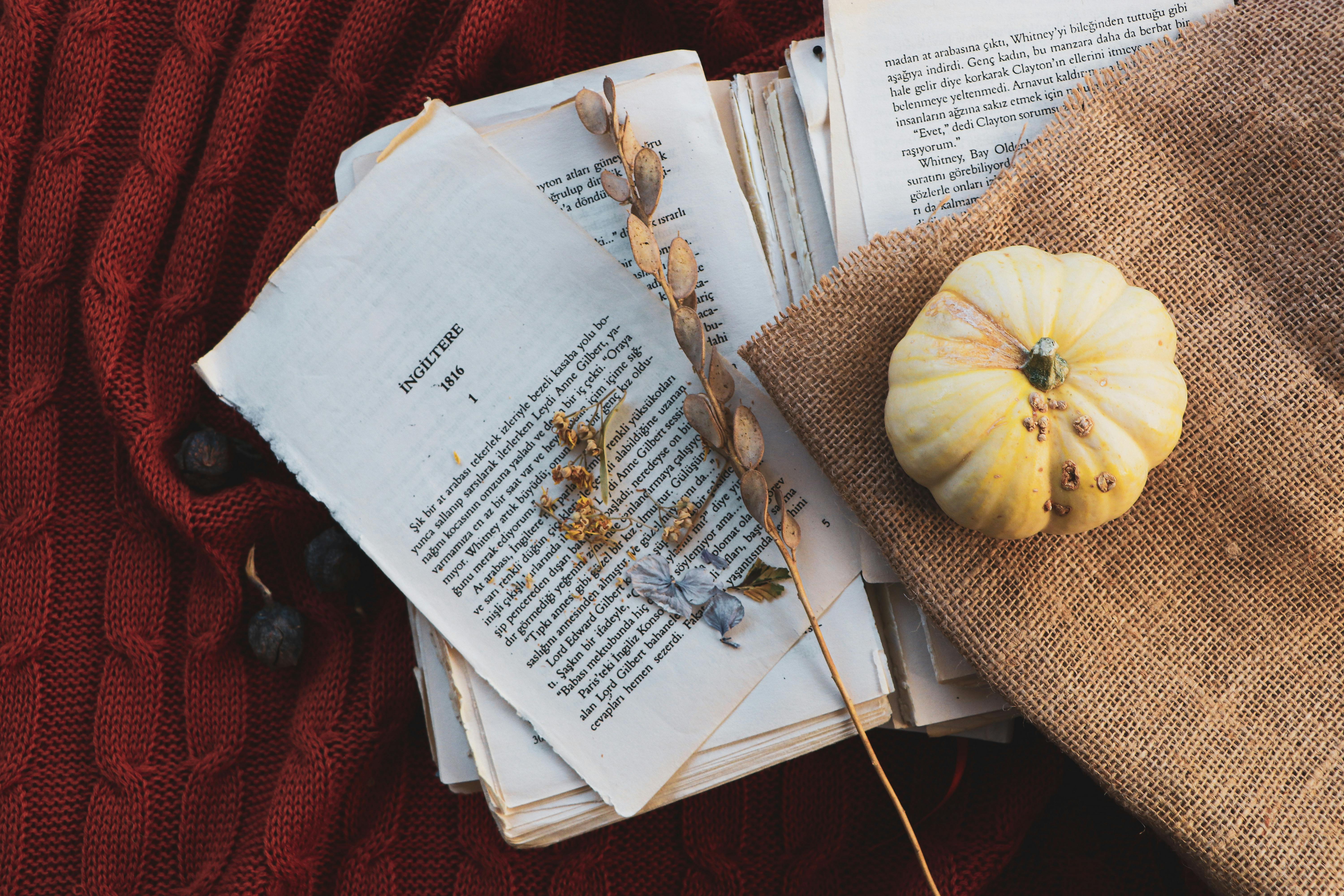 Loose Book Pages on a Red Fabric · Free Stock Photo