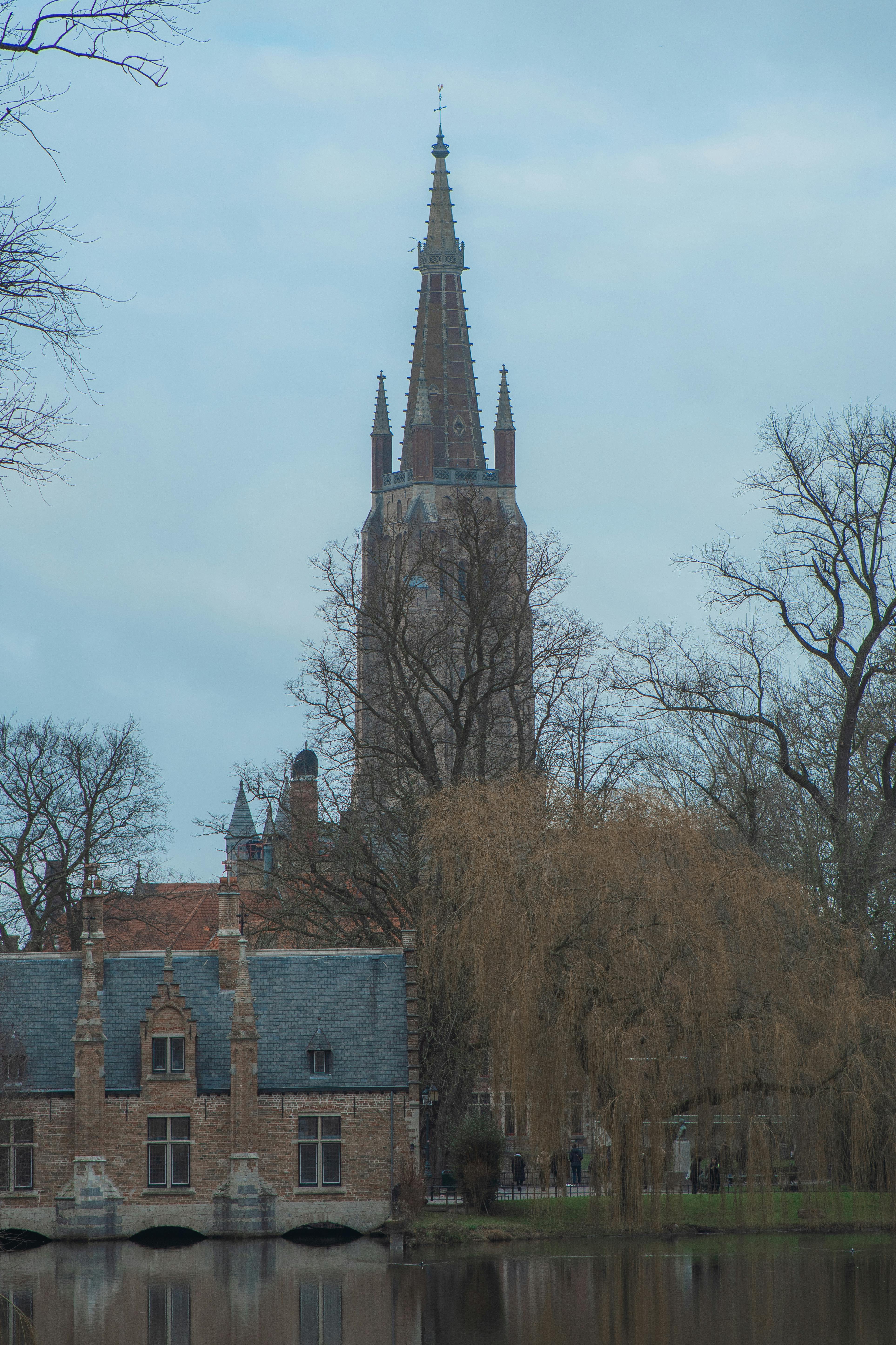 Burges Photos, Download The BEST Free Burges Stock Photos & HD Images