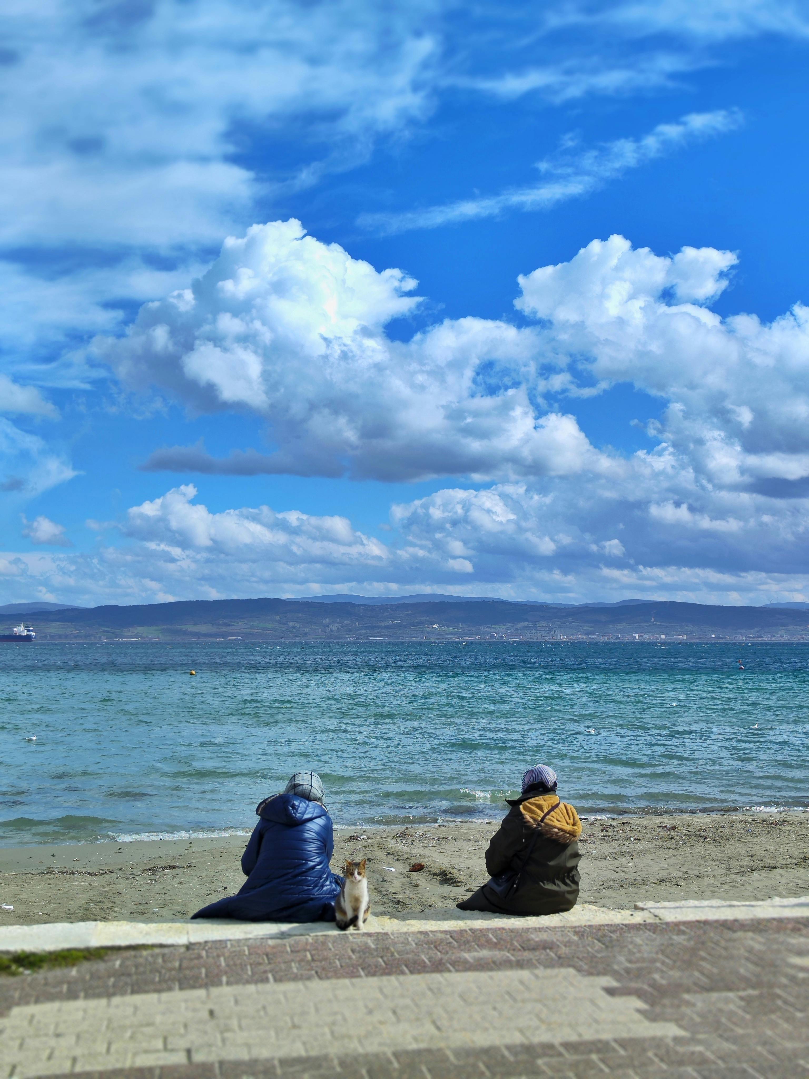 Men on a Beach by the Sea · Free Stock Photo