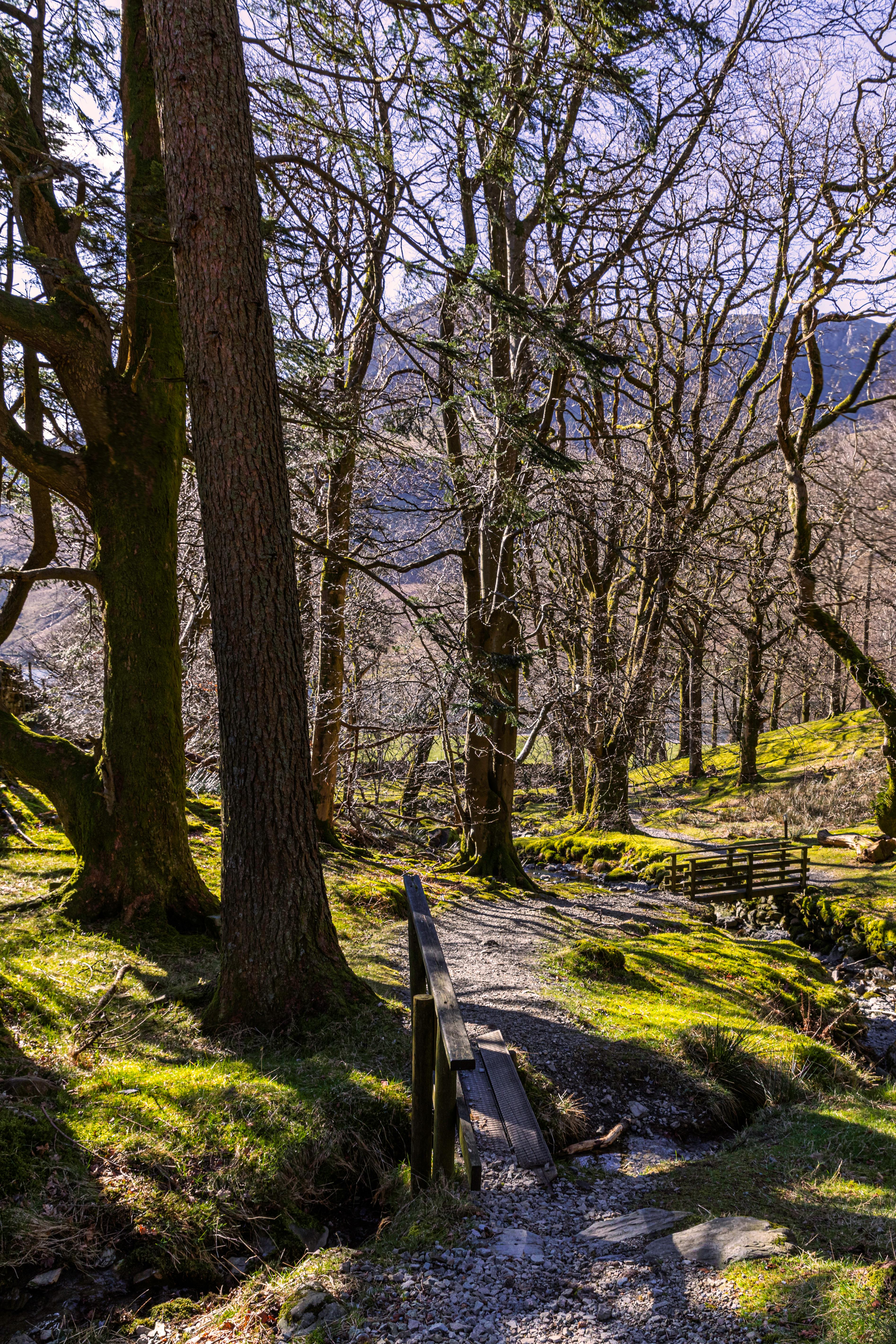 Small Rural Footbridge · Free Stock Photo
