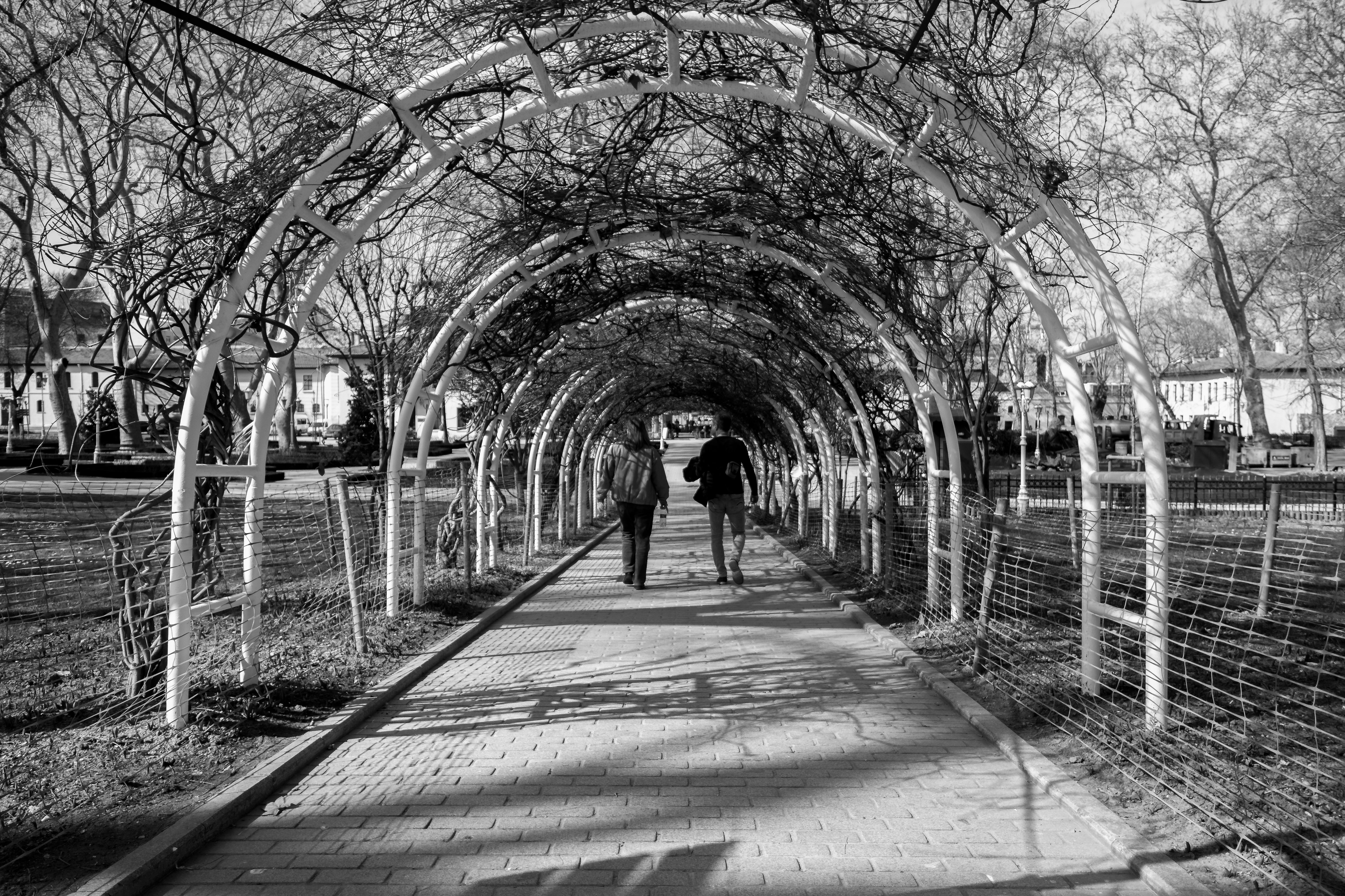 People Walking at Park in Darkness · Free Stock Photo