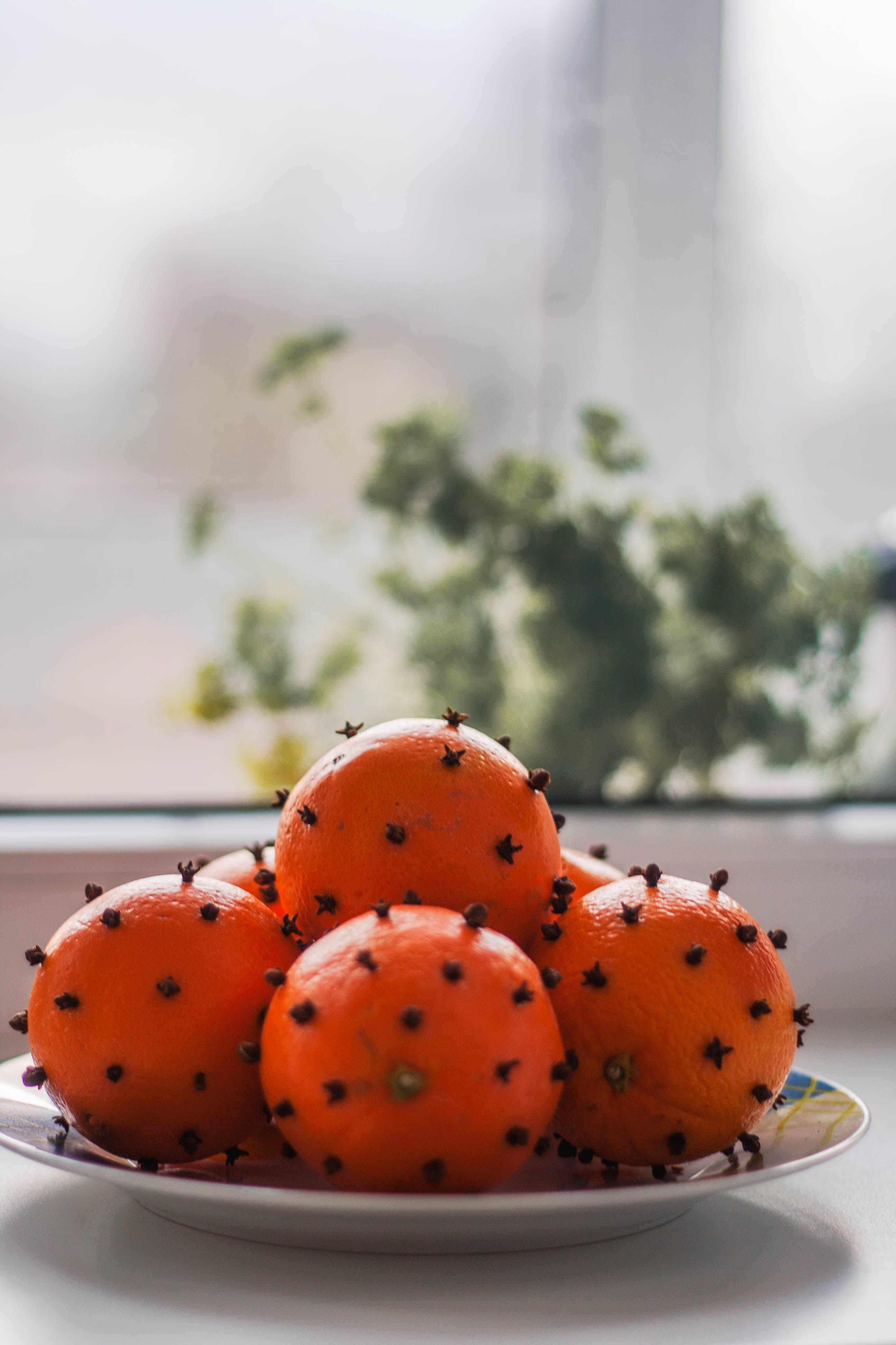 Close-Up Photo of Orange Fruit · Free Stock Photo