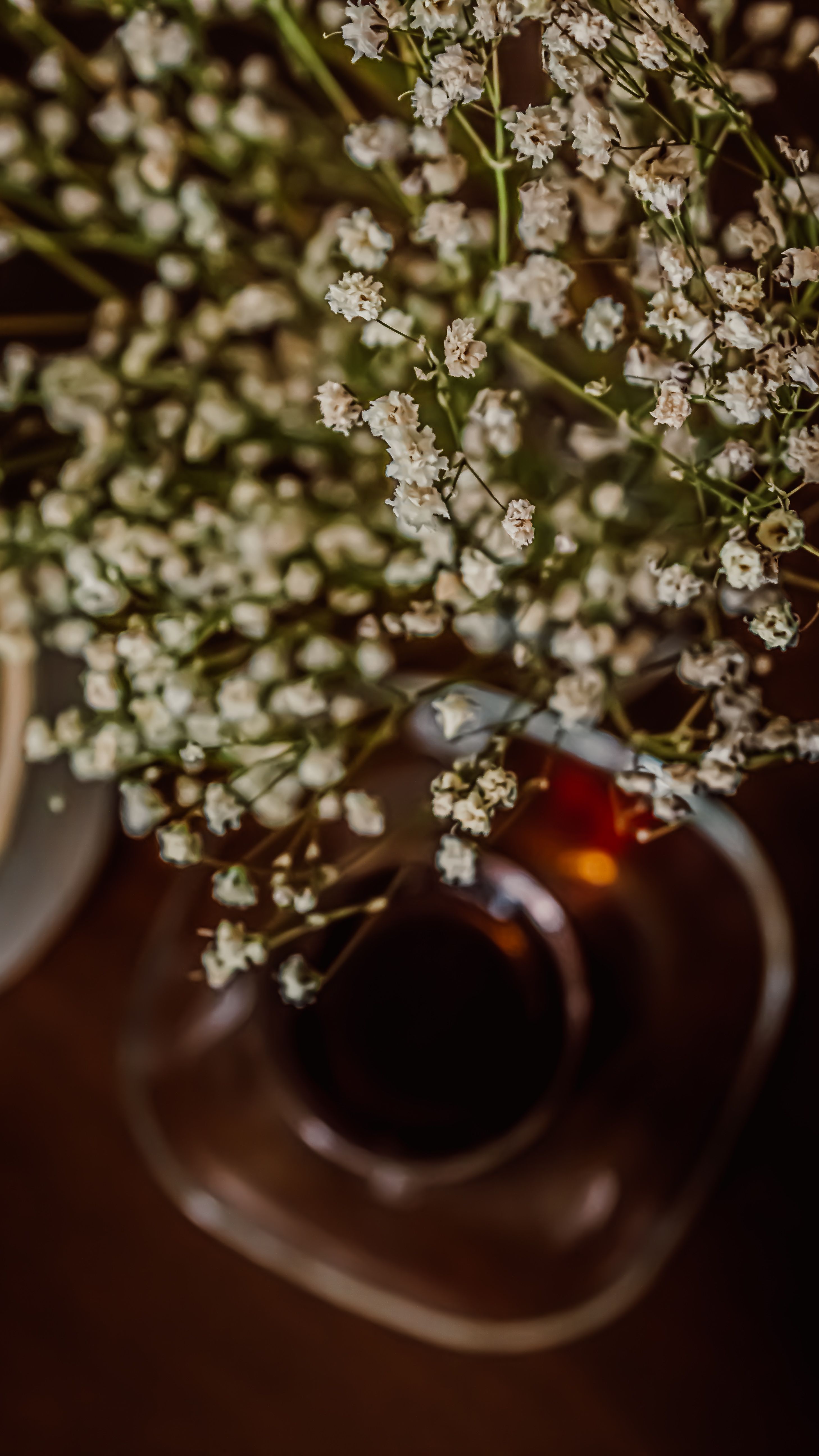 A Bunch of Colorful Angel's Breath Flowers · Free Stock Photo