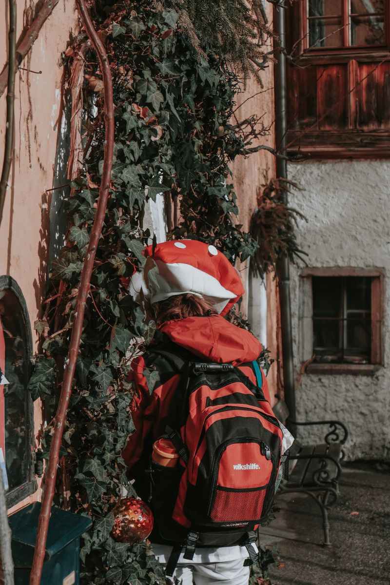 Edit 2390