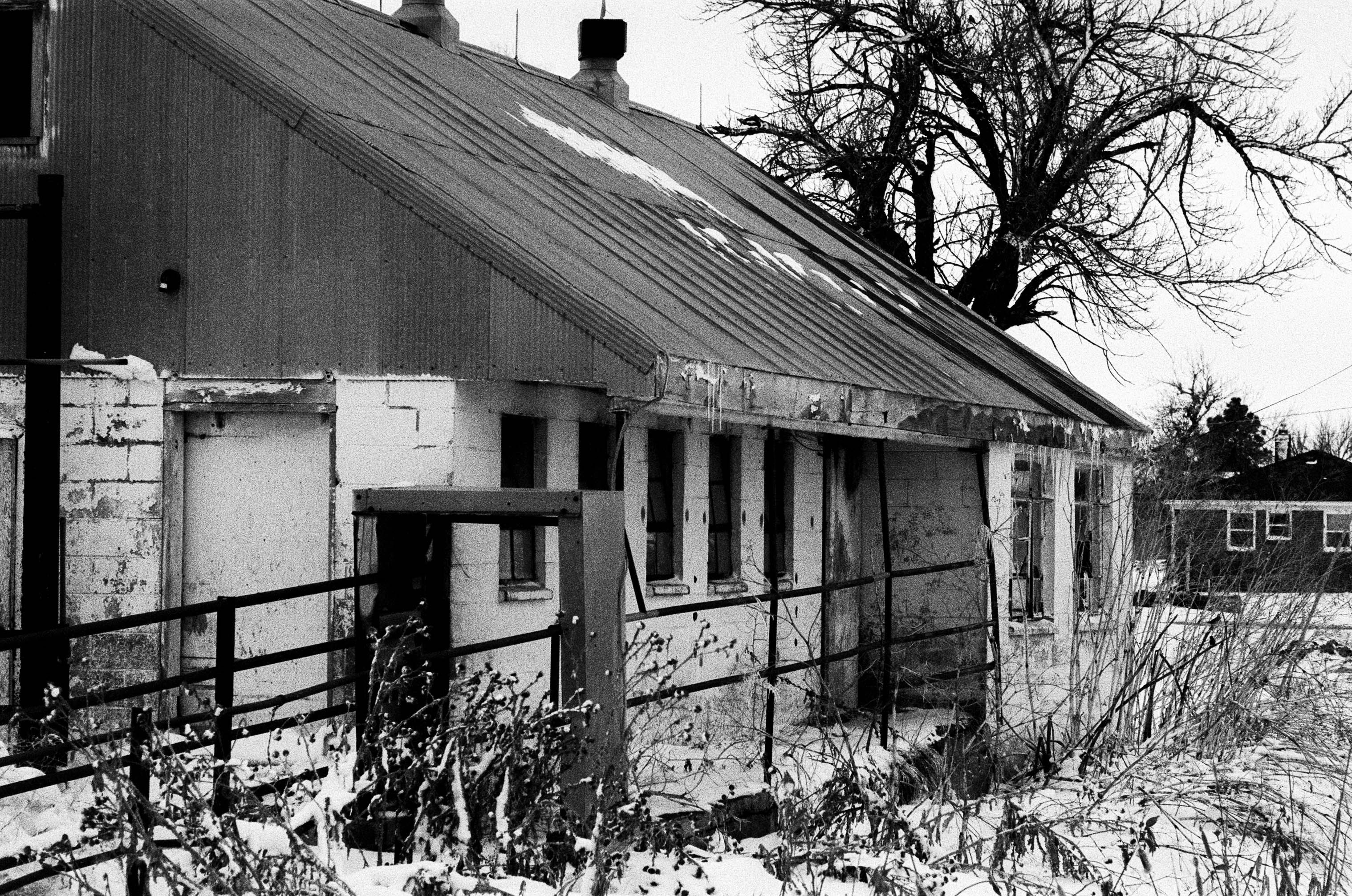 Birds Perching on Power Line in Village in Winter · Free Stock Photo
