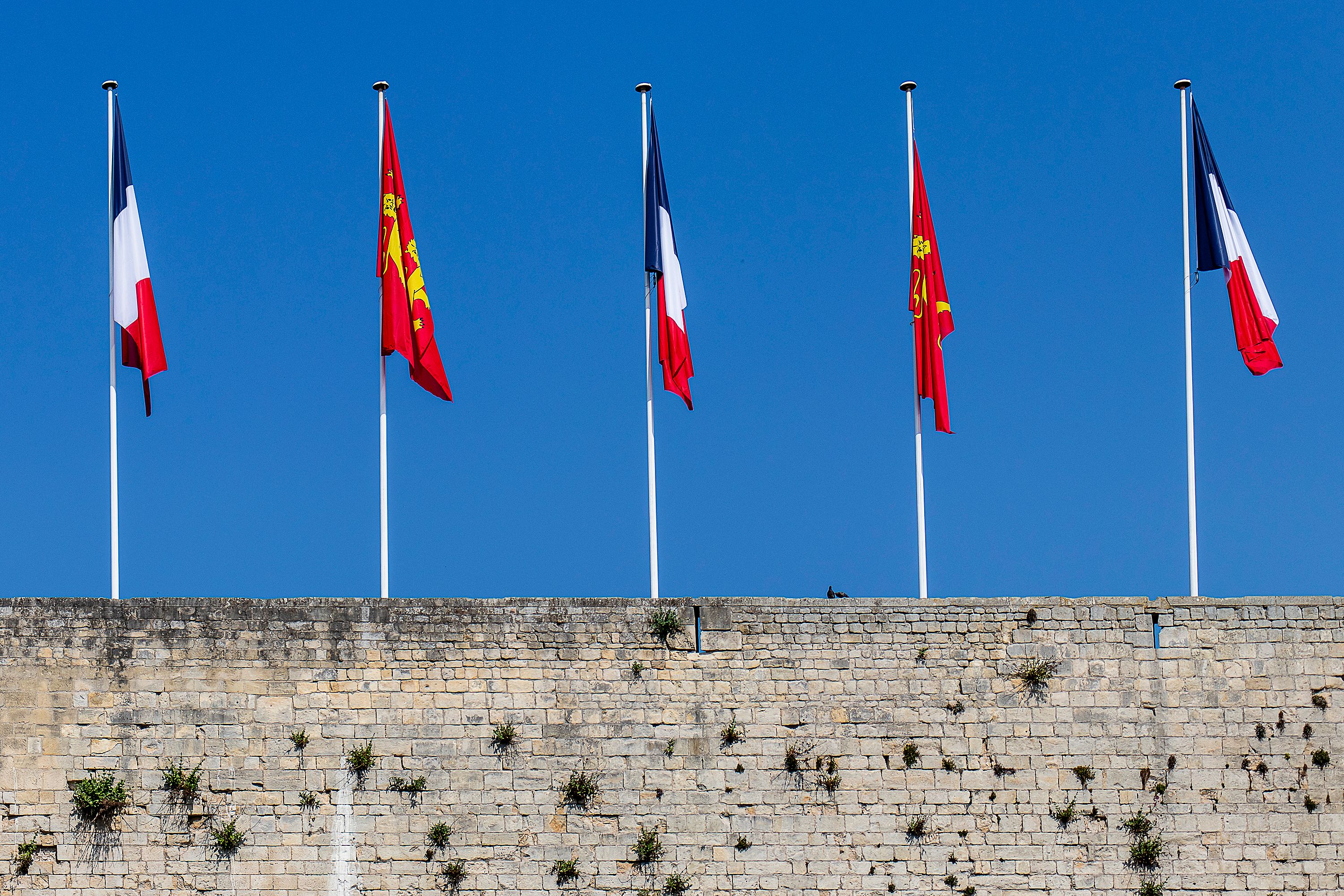 Muro Photos, Download The BEST Free Muro Stock Photos & HD Images