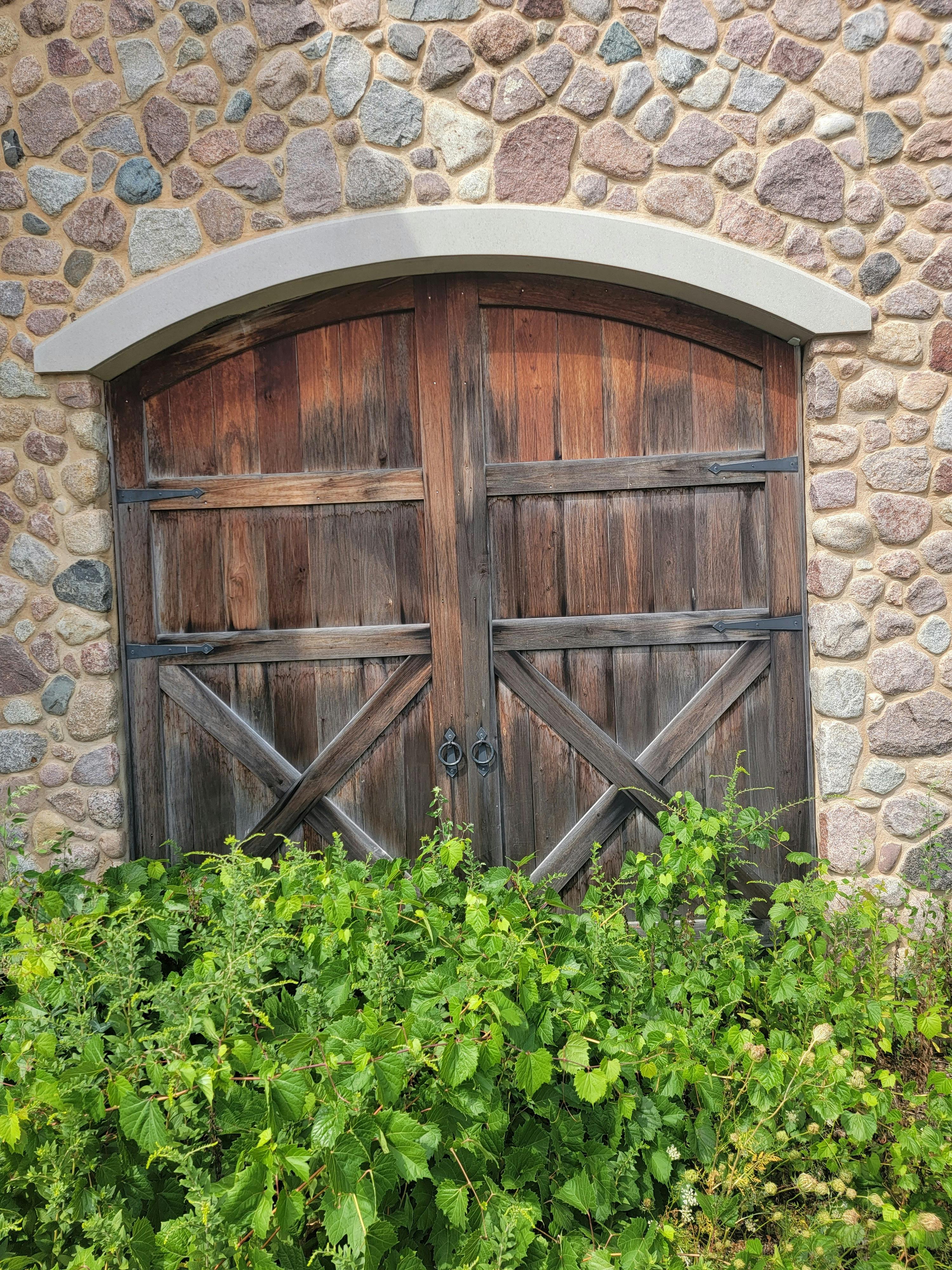 Bush and Wooden Door behind · Free Stock Photo