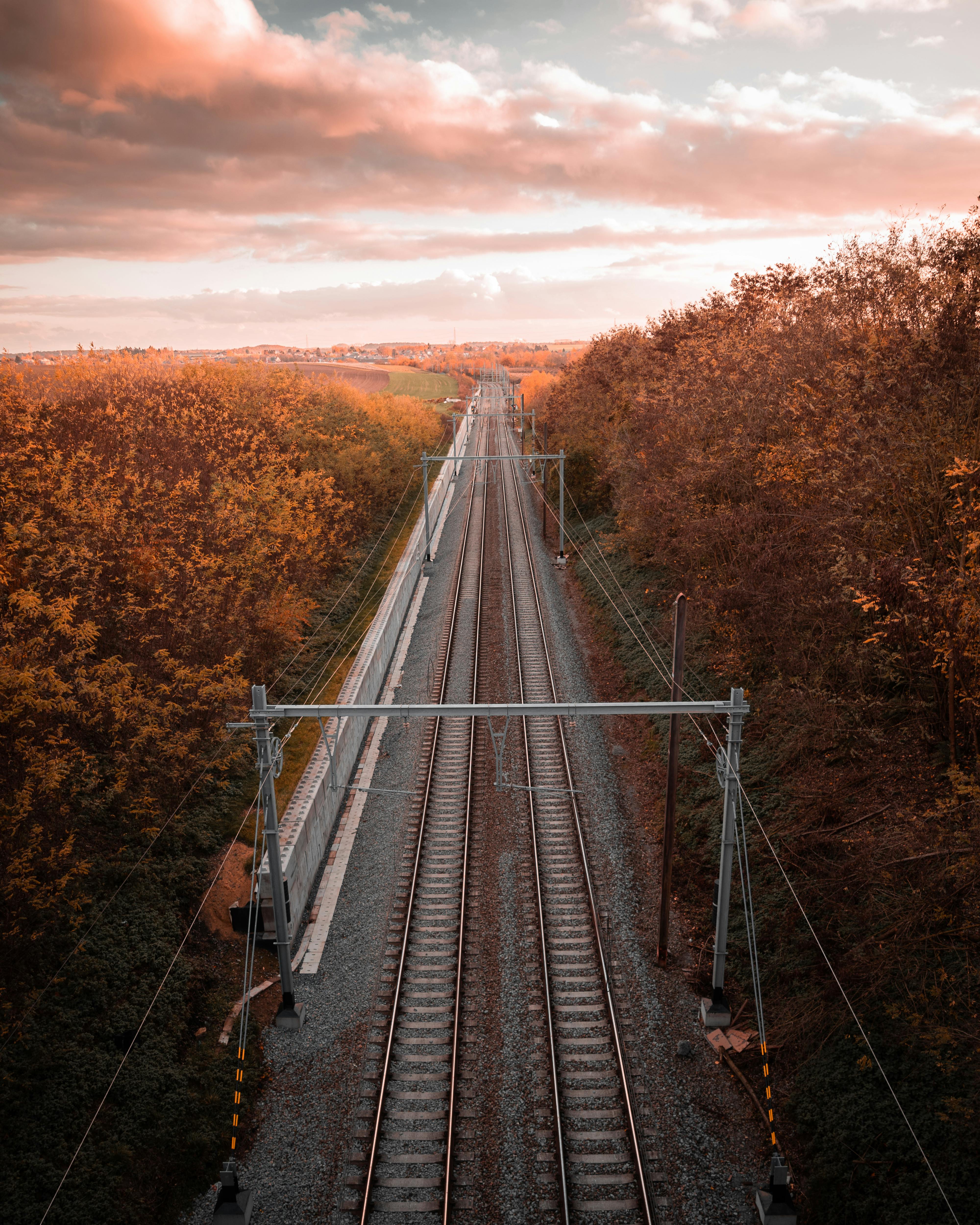 Trilhos De Trem Entre Floresta Seca · Foto profissional gratuita