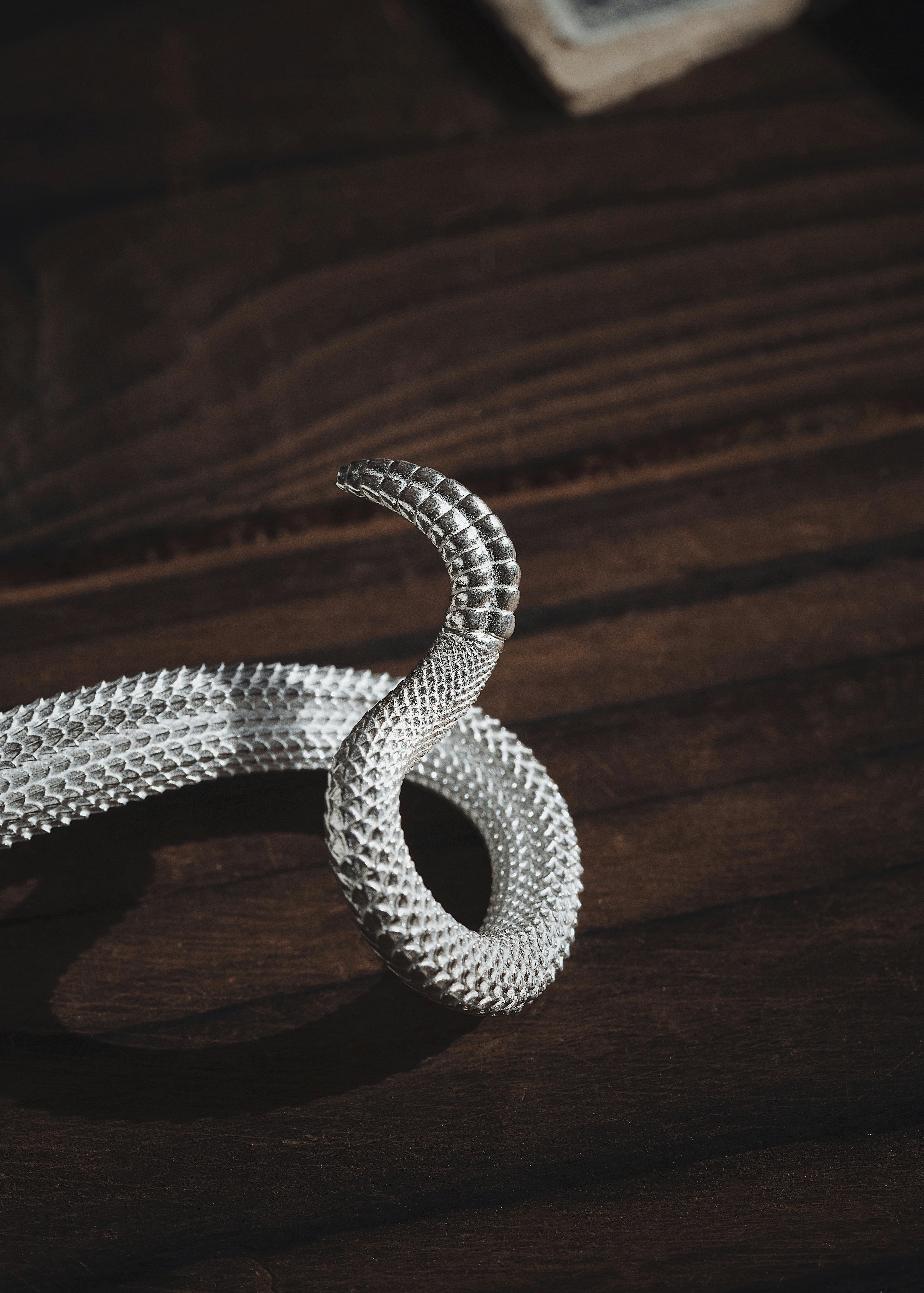 Close up of Silver Snake Tail · Free Stock Photo