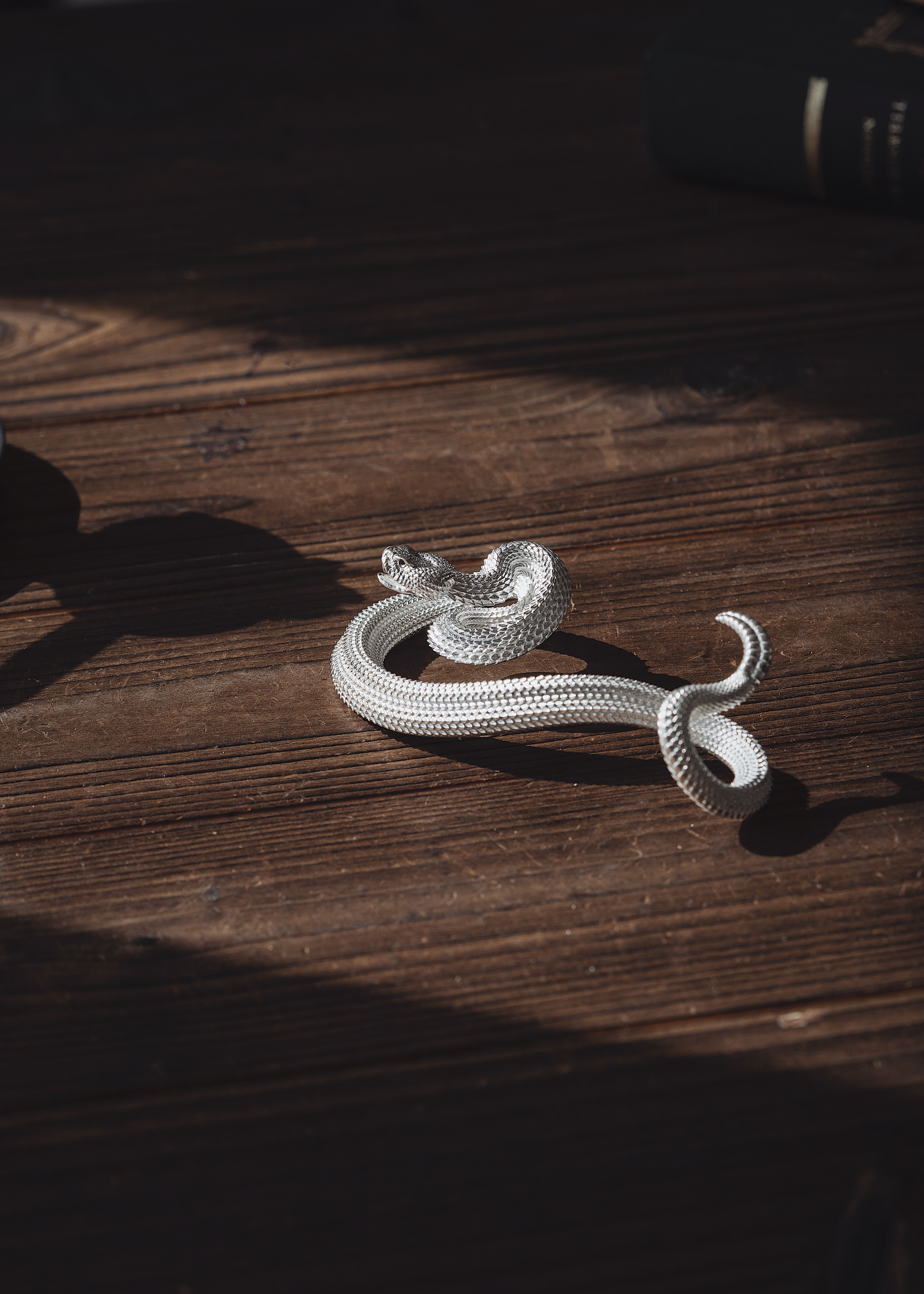 Silver Design Cobra Pen Holder on Table · Free Stock Photo