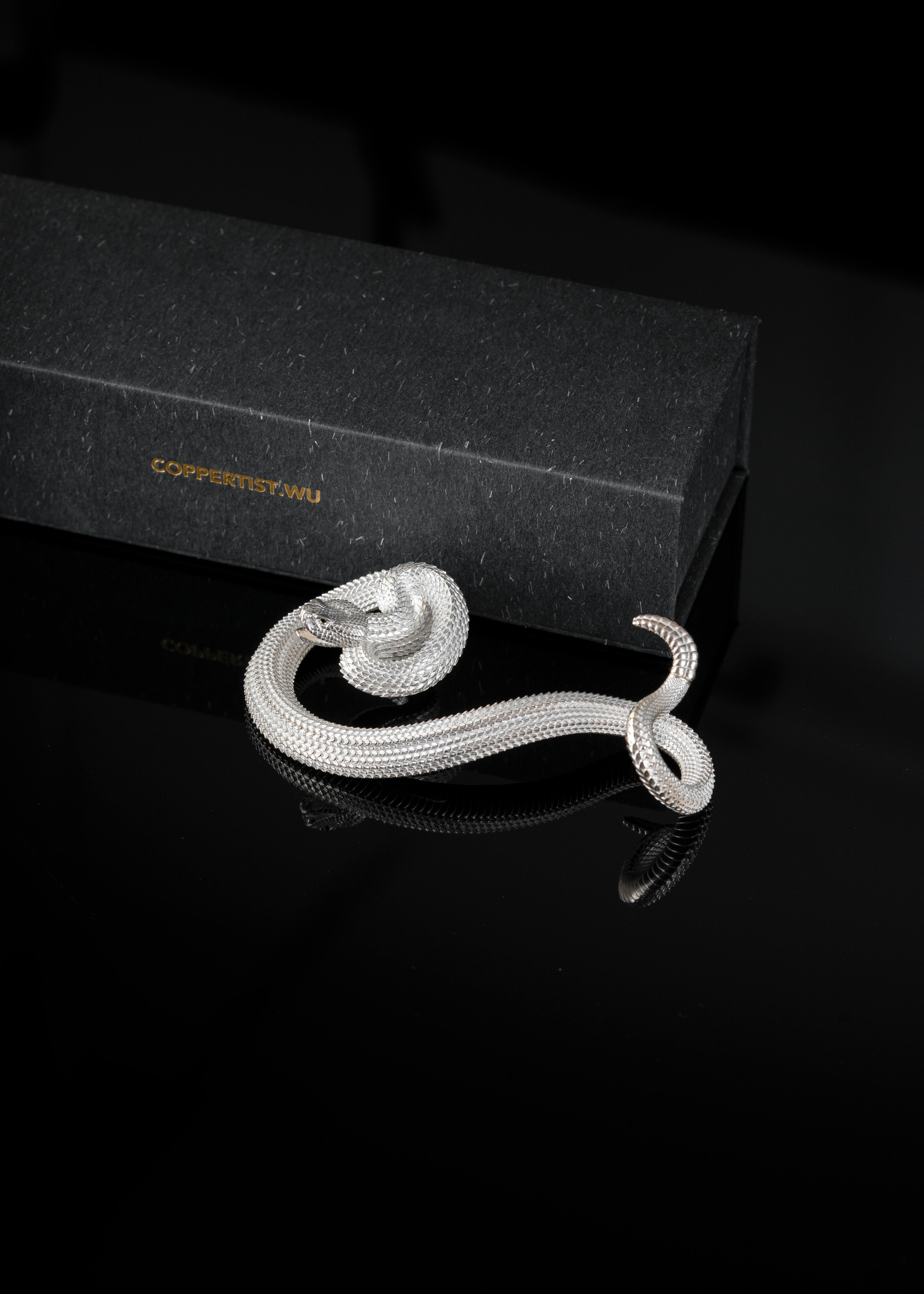 Snake Design Photos, Download The BEST Free Snake Design Stock Photos ...