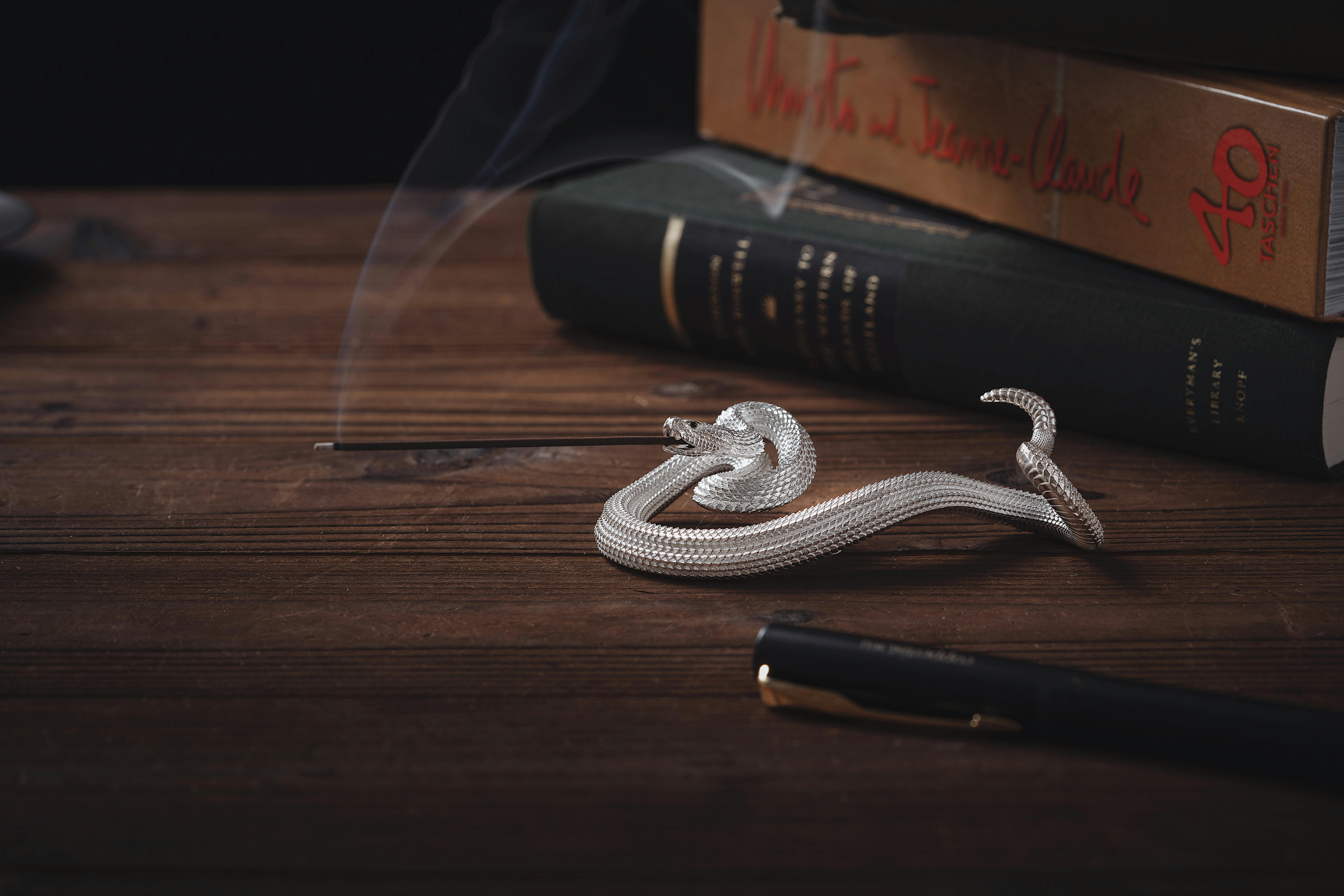 Silver Snake Incense Burner · Free Stock Photo