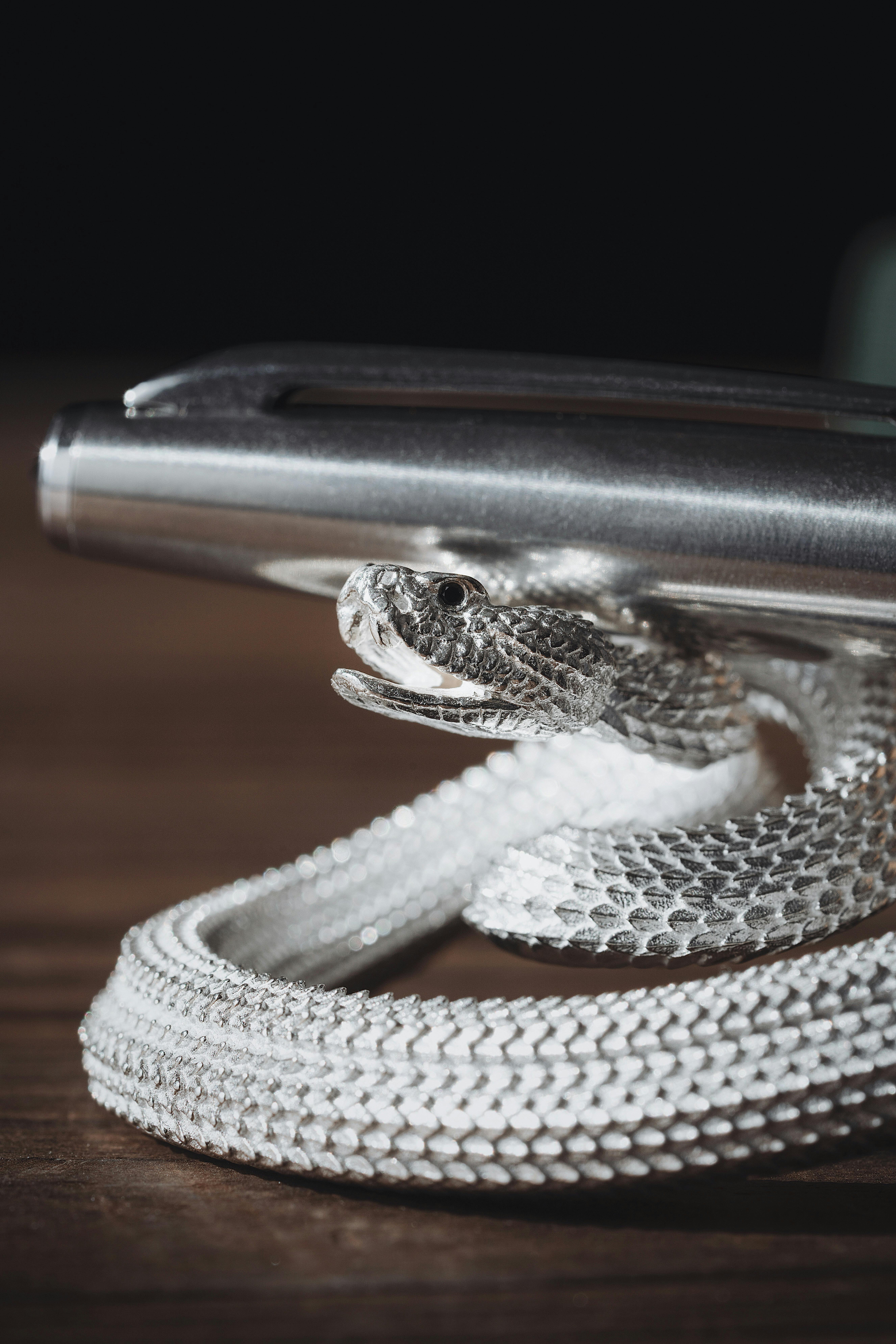 Pen and Silver Snake · Free Stock Photo