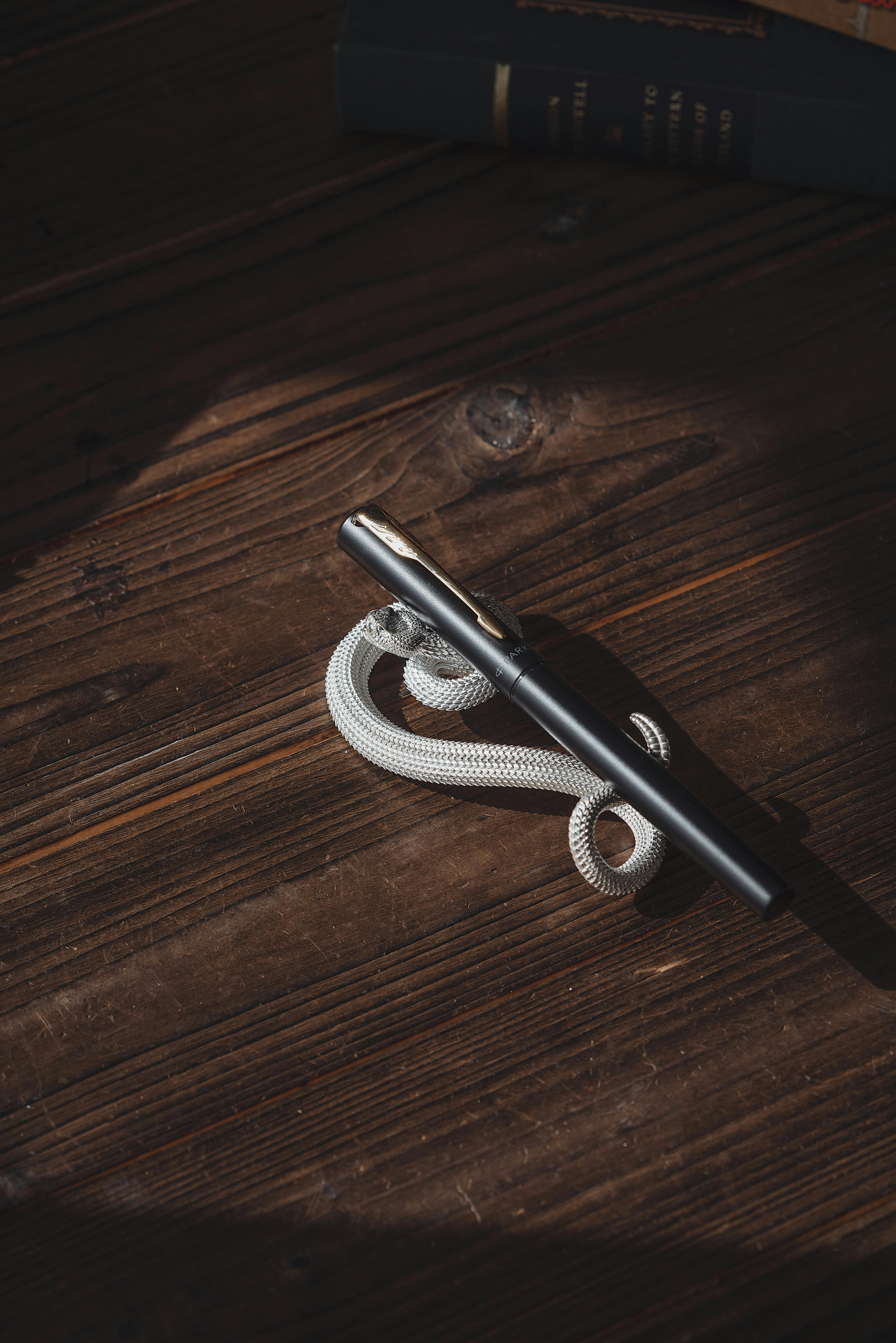 Snake Pen Photos, Download The BEST Free Snake Pen Stock Photos & HD Images