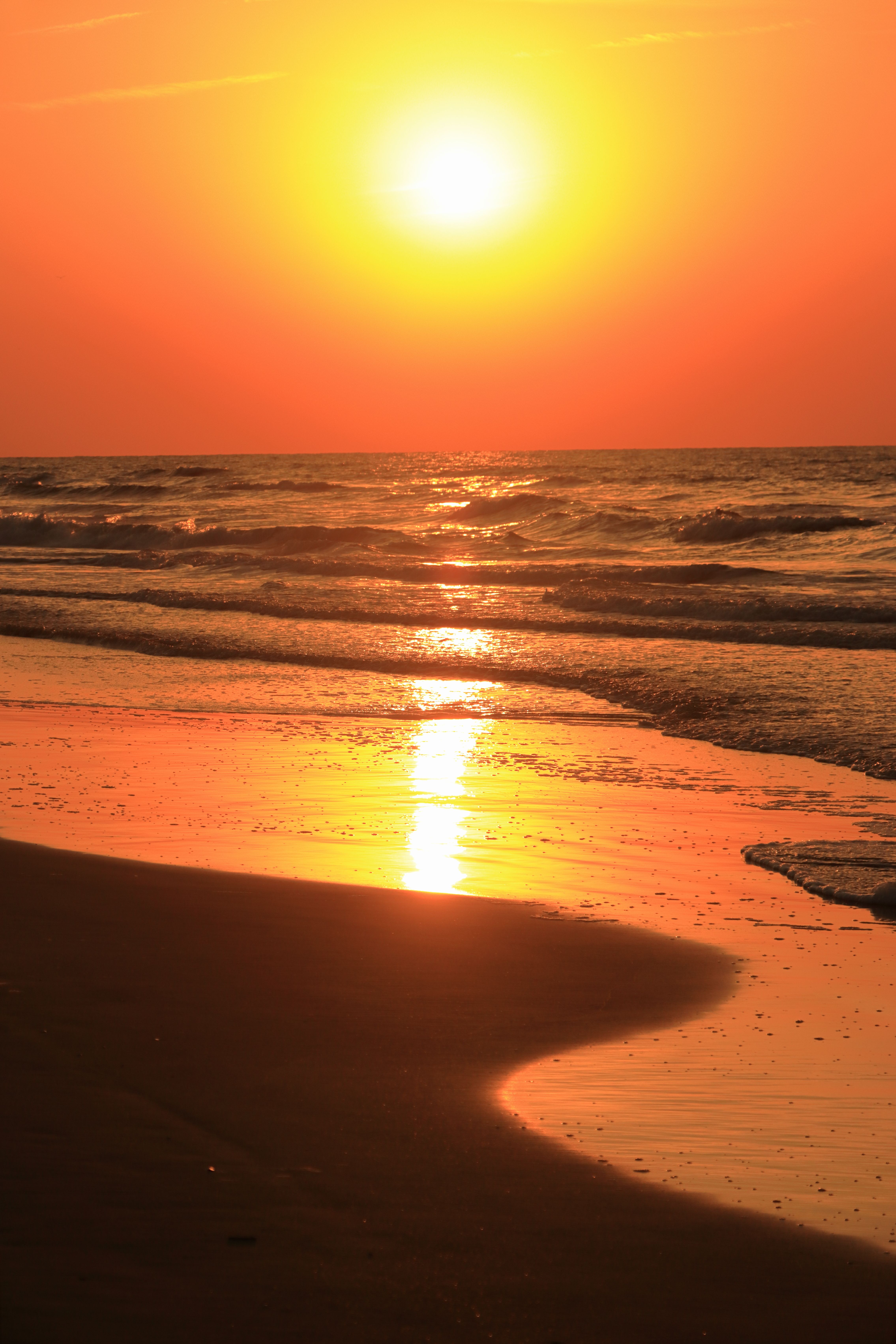 Sunrise over Ocean Shore · Free Stock Photo
