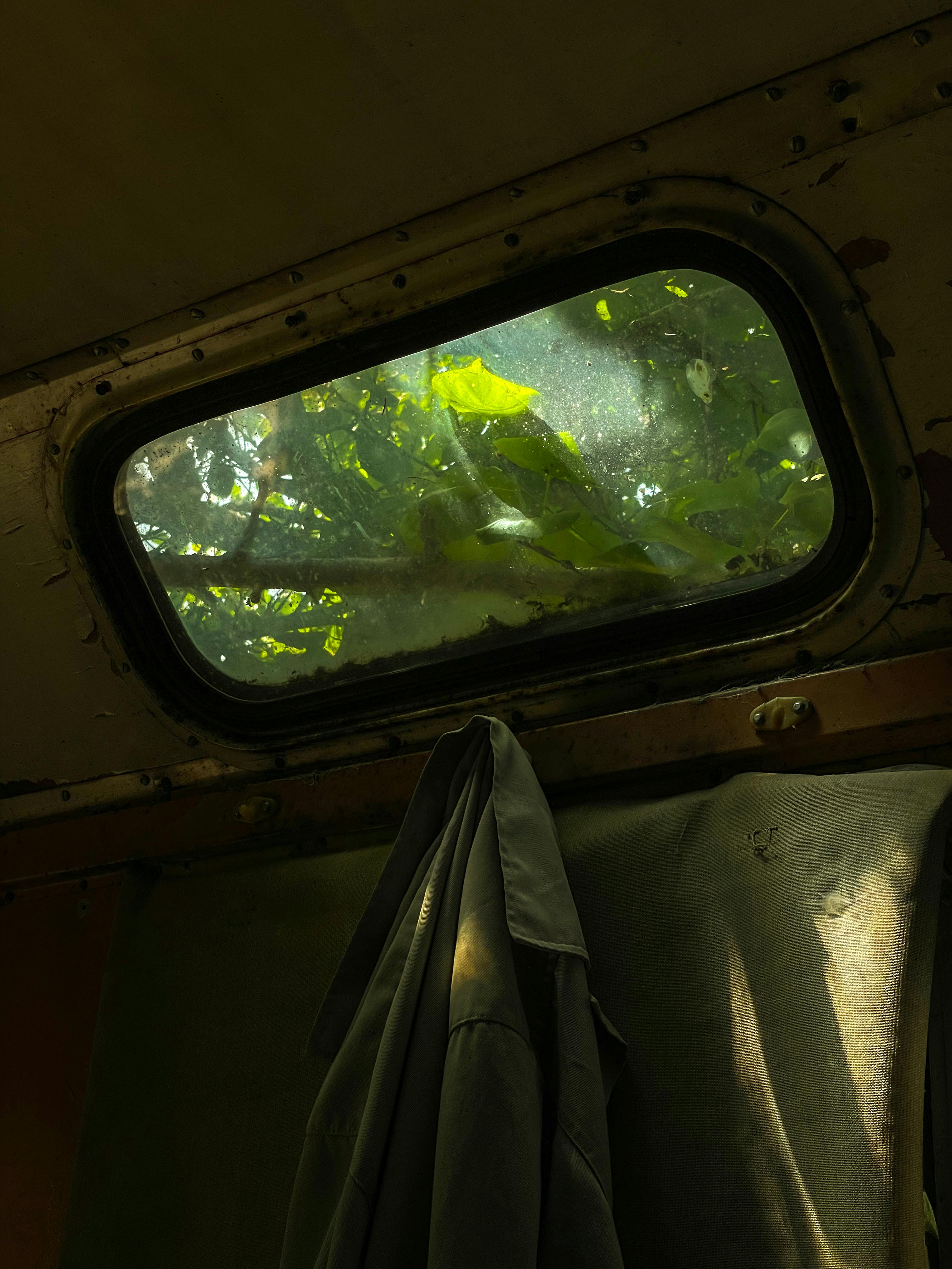 Jungle Paddle Photos, Download The BEST Free Jungle Paddle Stock Photos ...