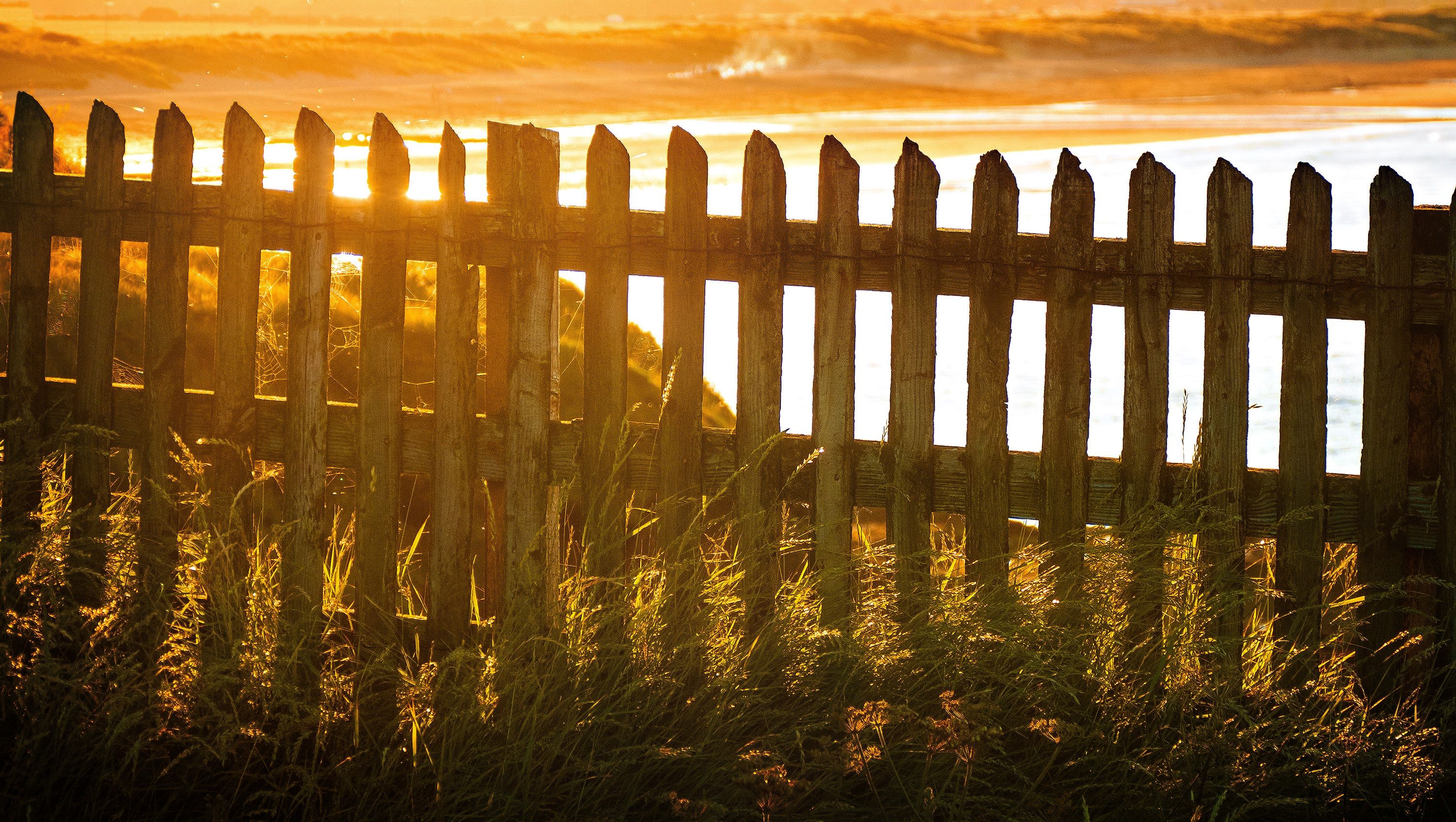 Brown Wooden Fence Near Body of Water · Free Stock Photo