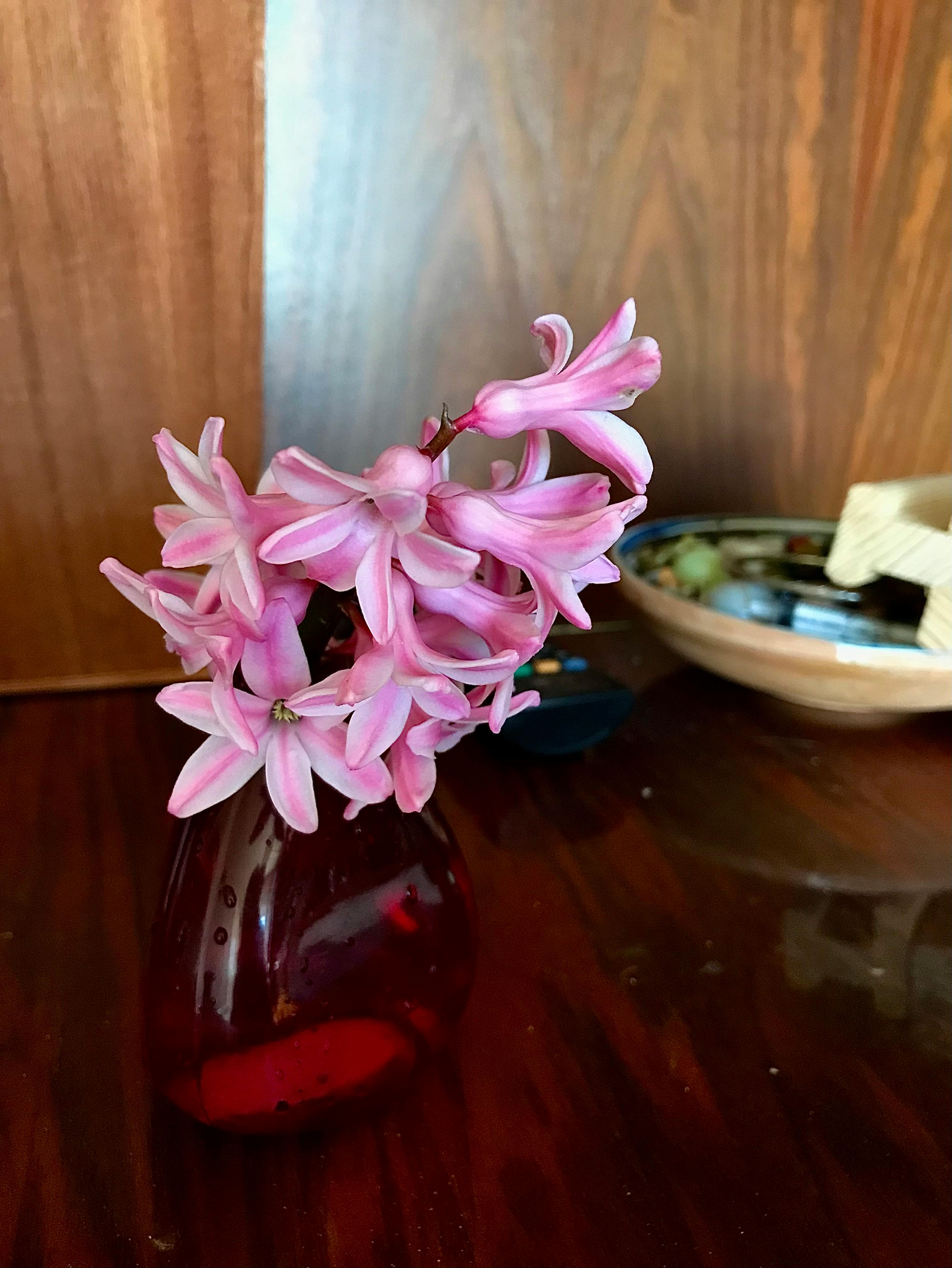 The Peony Boo - Photography