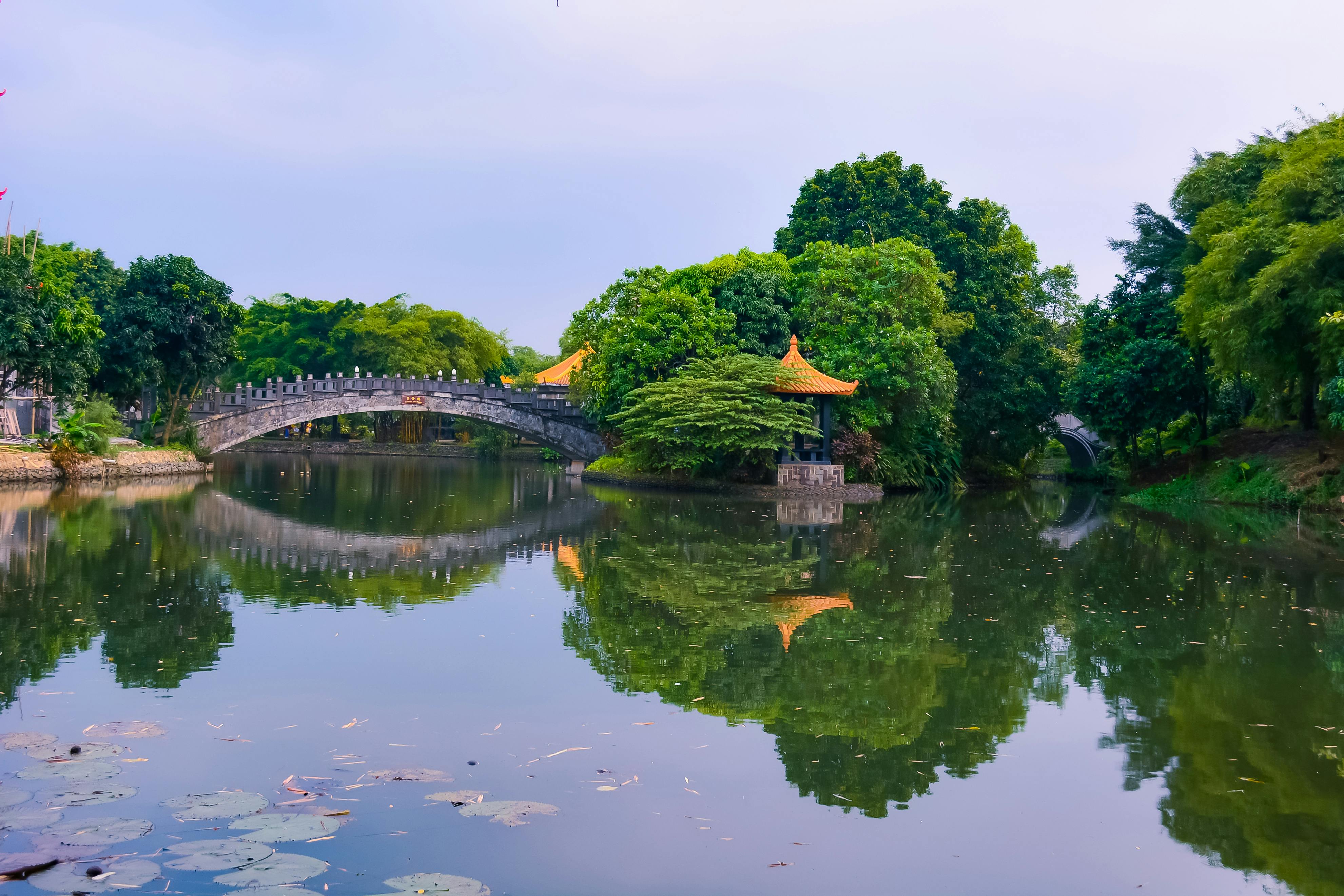 Pond Wallpaper Photos, Download The BEST Free Pond Wallpaper Stock ...