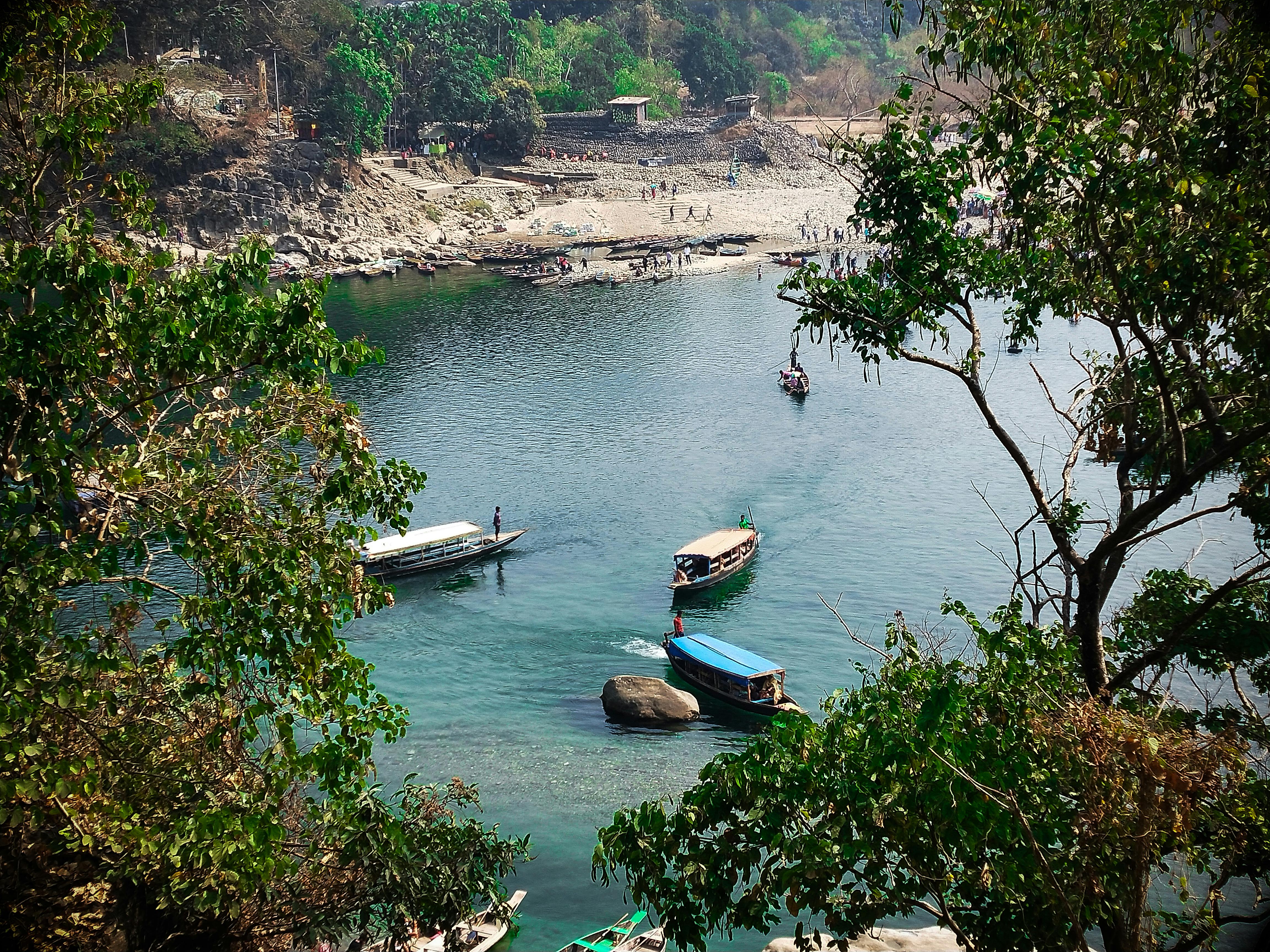 Boats near Shore with Trees · Free Stock Photo