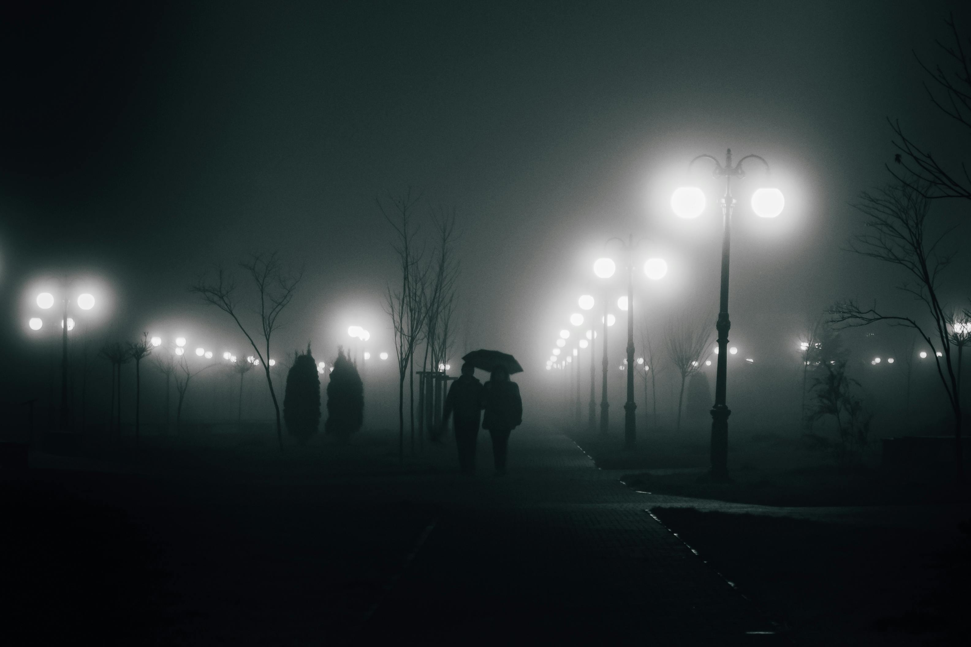 People Walking In Park At Night