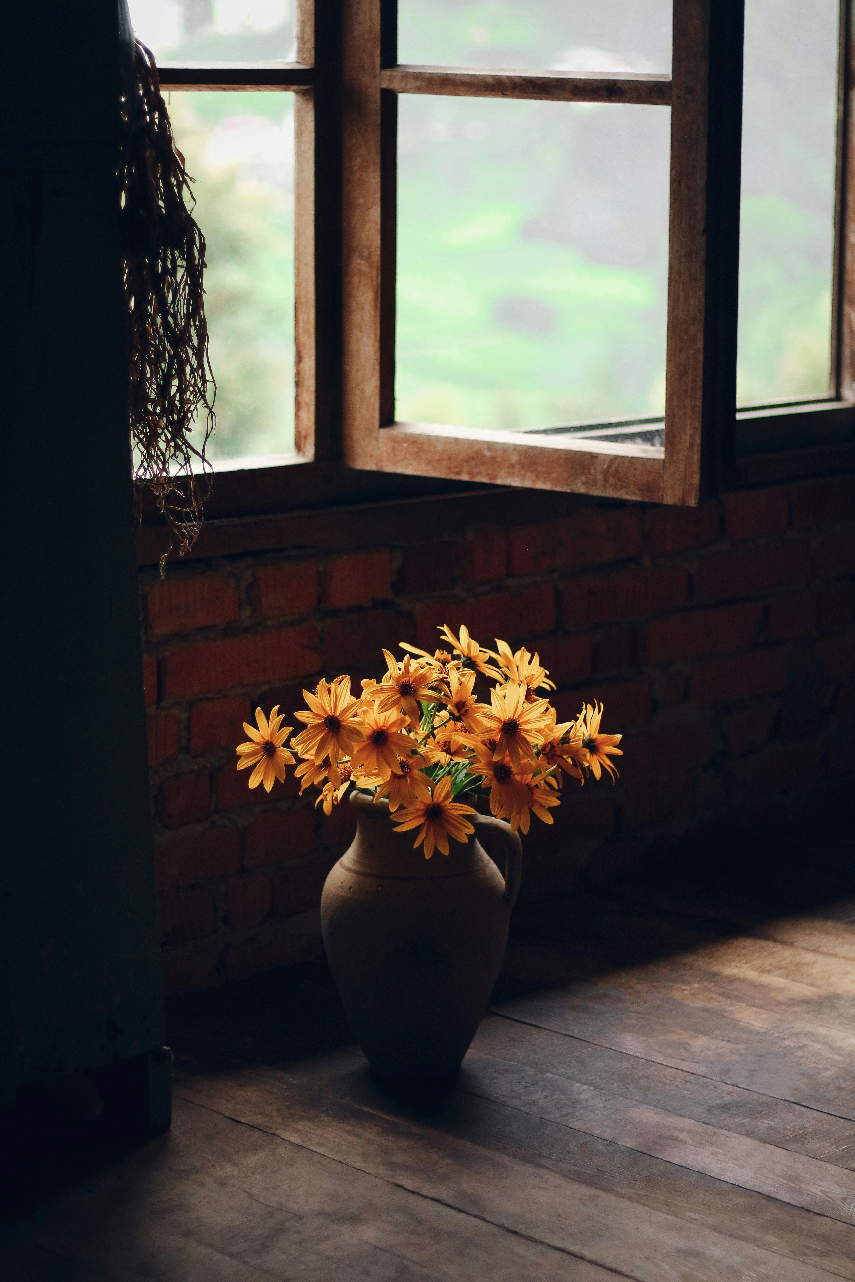 60,000+张最精彩的“Windows Baggrund”图片 · 100%免费下载 · Pexels素材图片