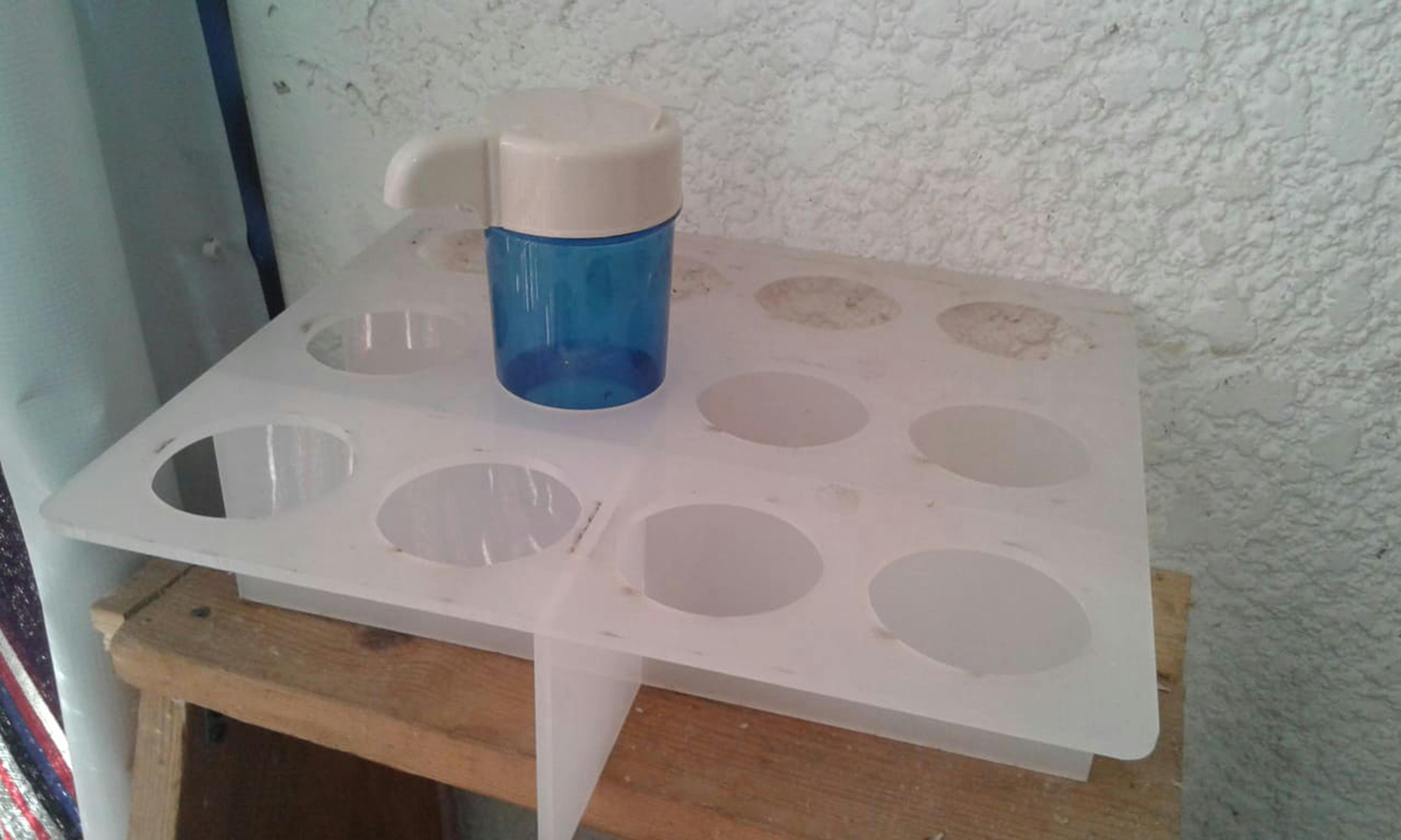 cockatiel 30 Photos & Videos Collected by Faris Slamah