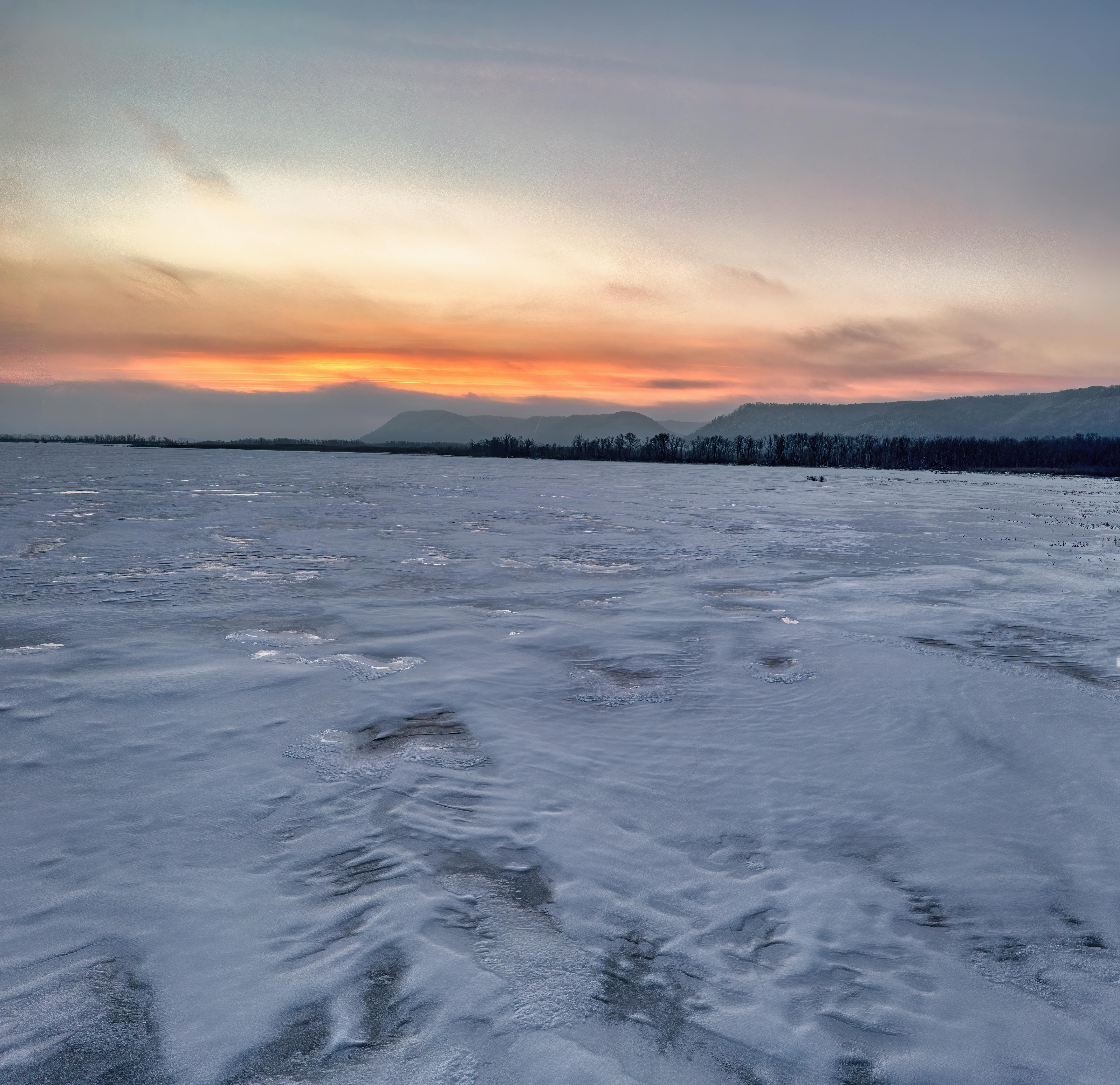 A Crow on a Lake at Dawn · Free Stock Photo