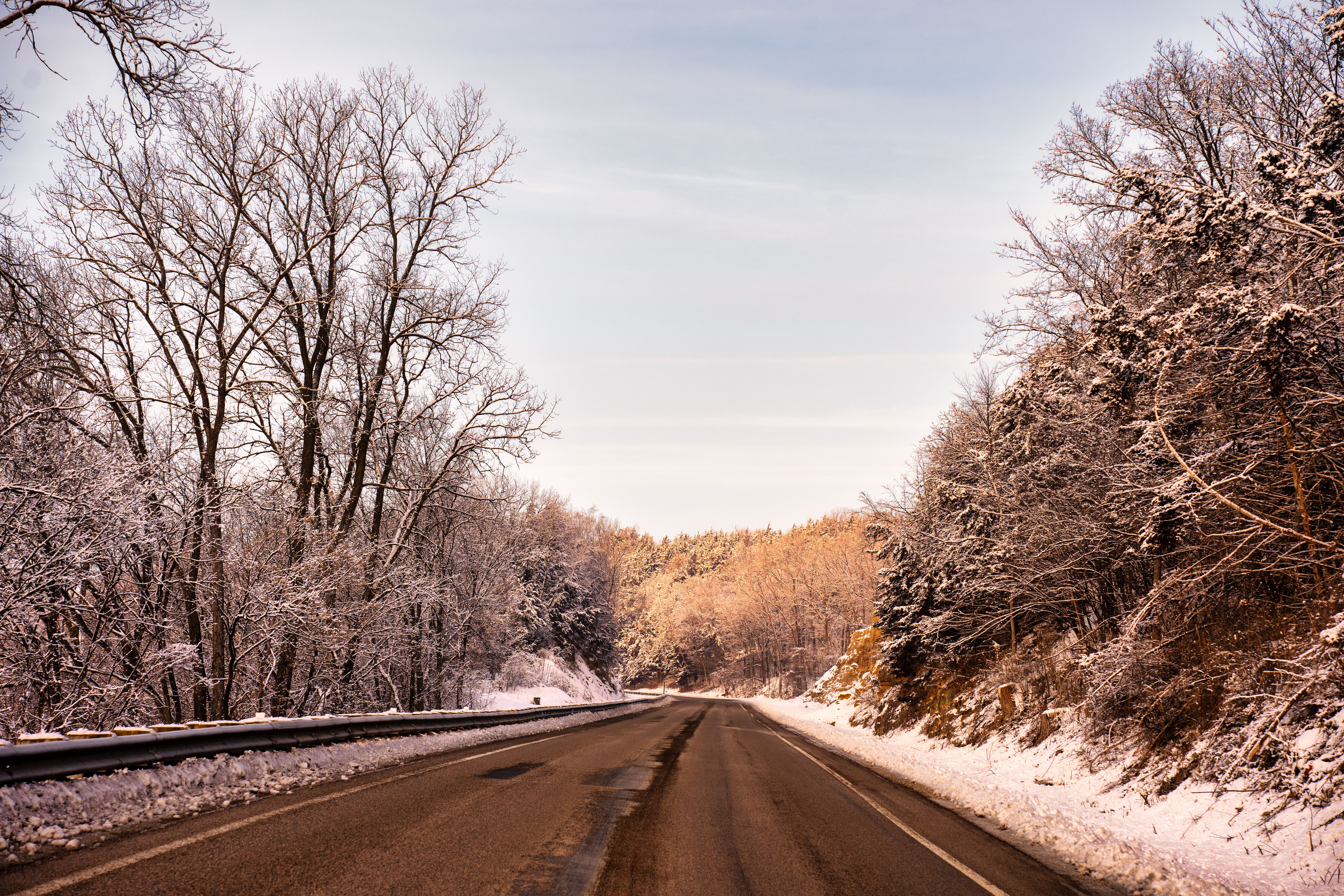 Road through Winter Forest · Free Stock Photo