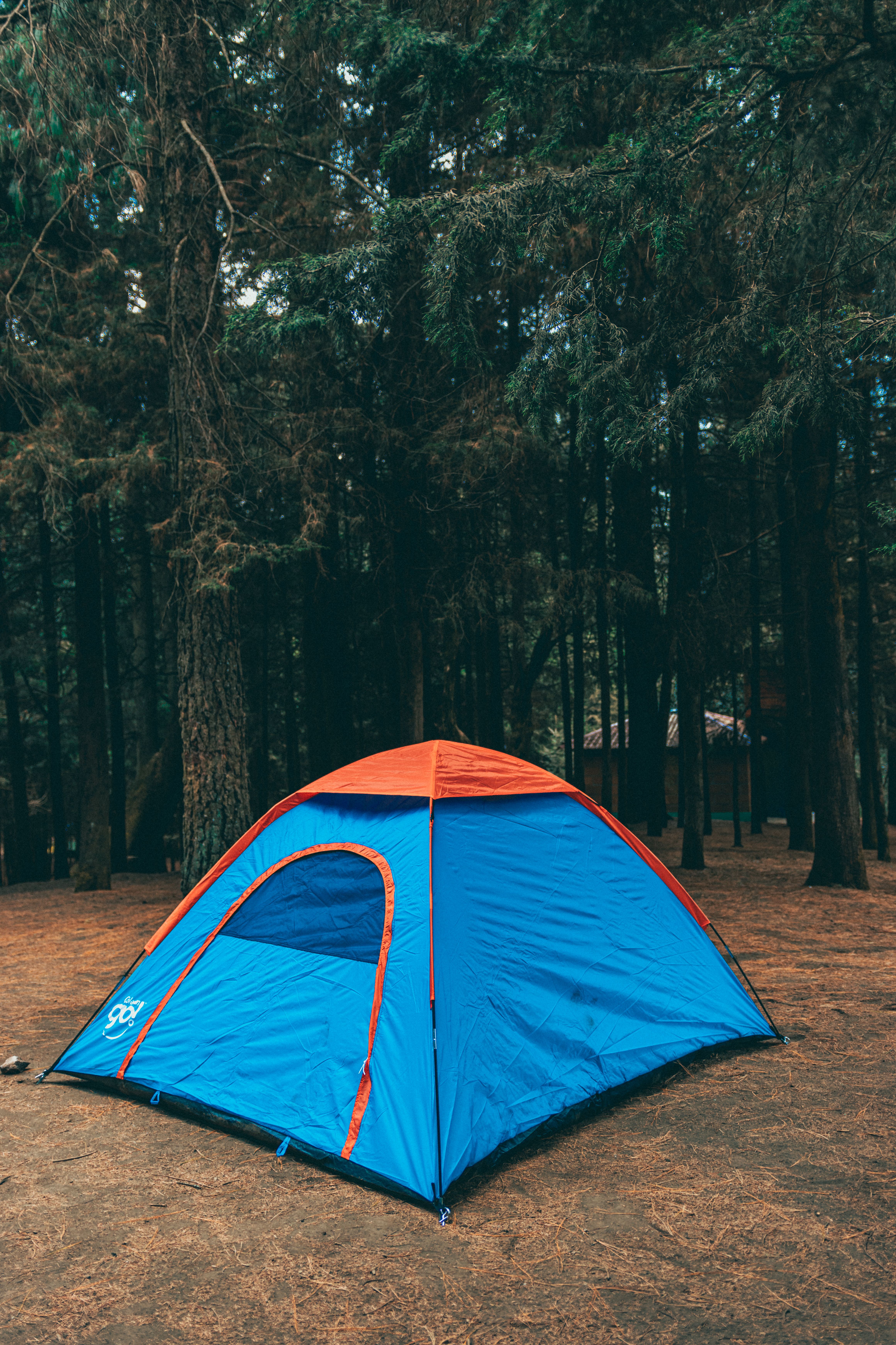 Foto de stock gratuita sobre 2023, acampada, aesthetic, al aire libre ...