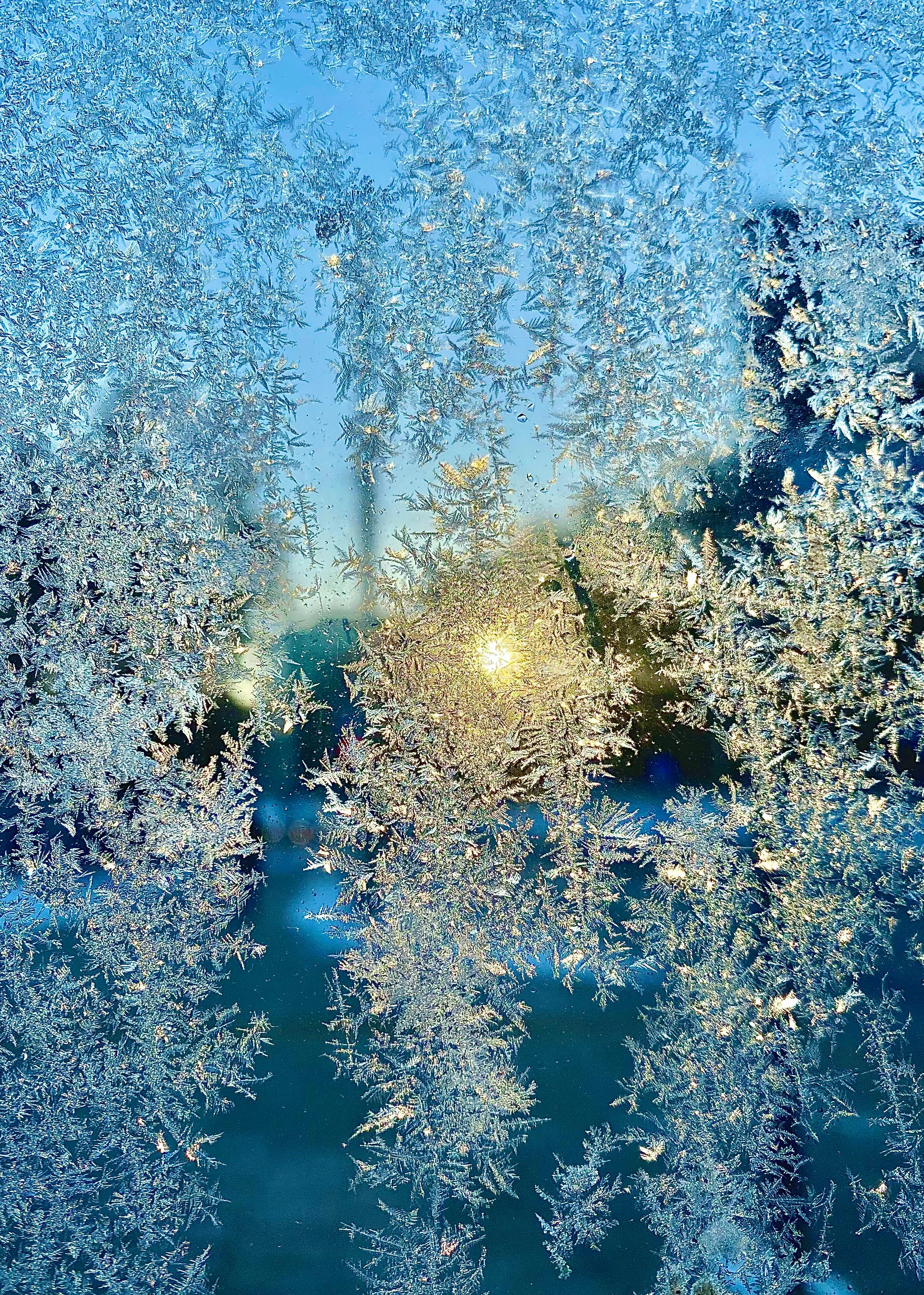 Frozen Snowflakes at Sunset · Free Stock Photo