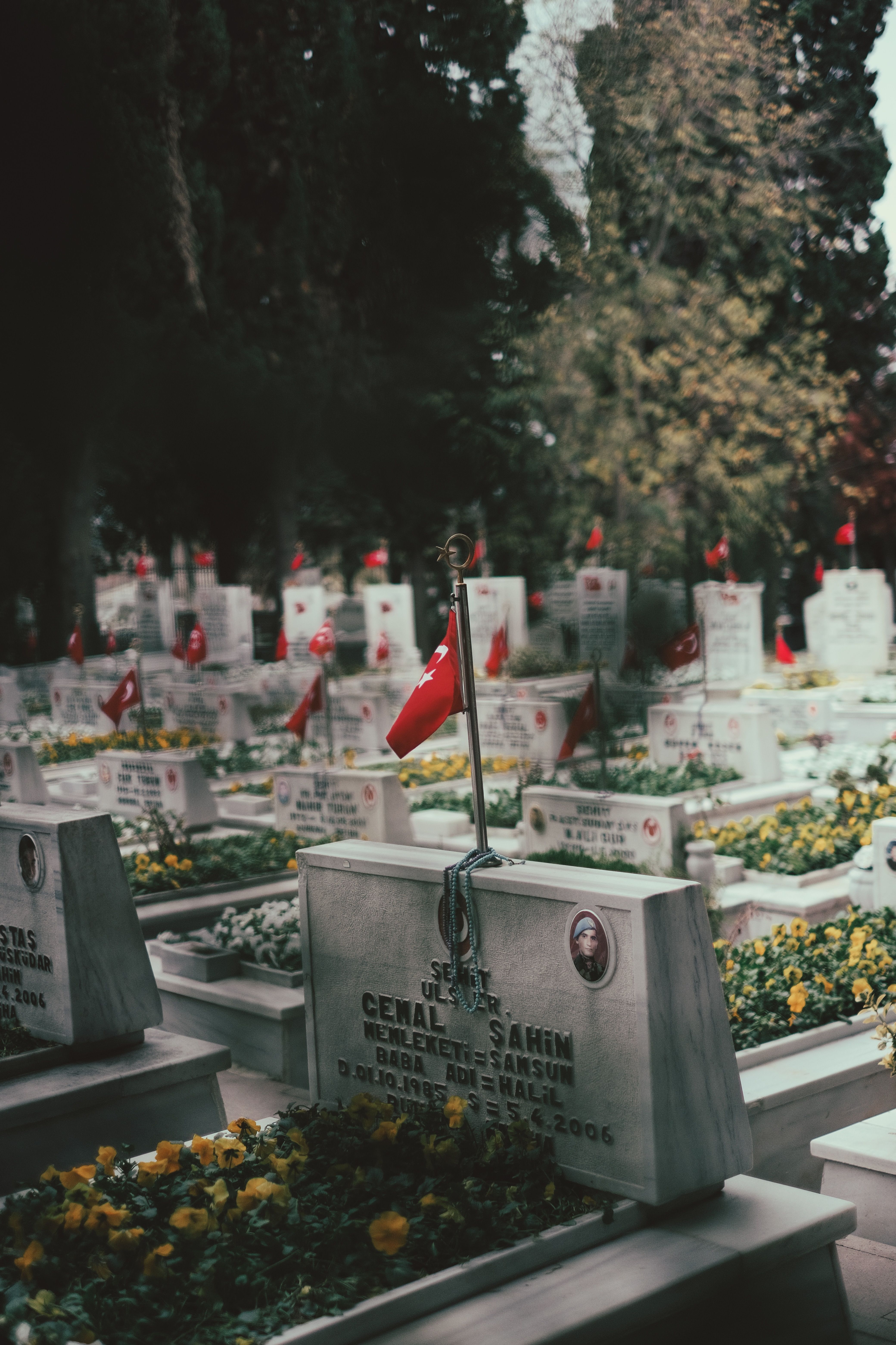 Graves with Turkish Flags on a Cemetery · Free Stock Photo