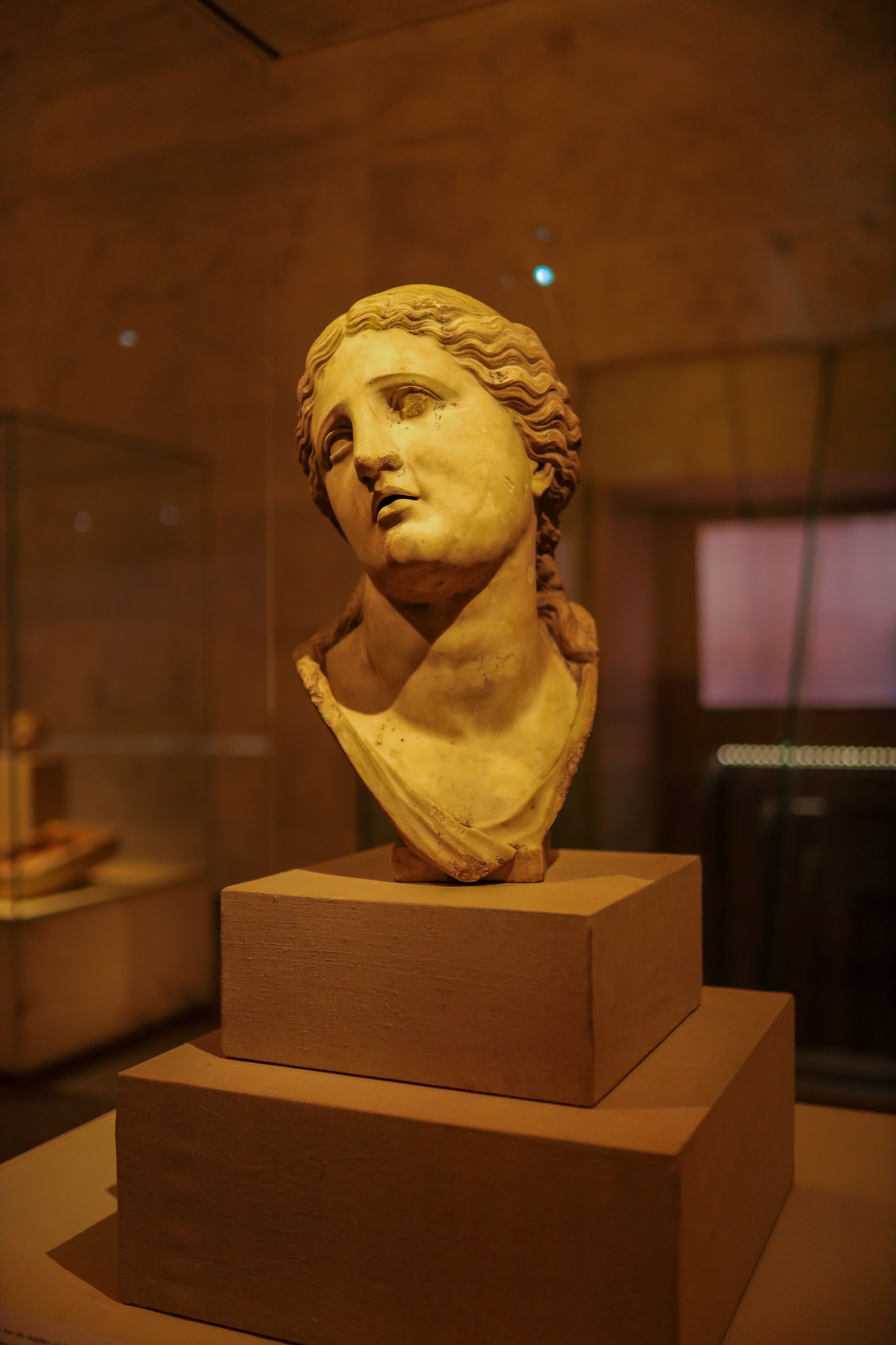 Marble Sculptures in Museum · Free Stock Photo