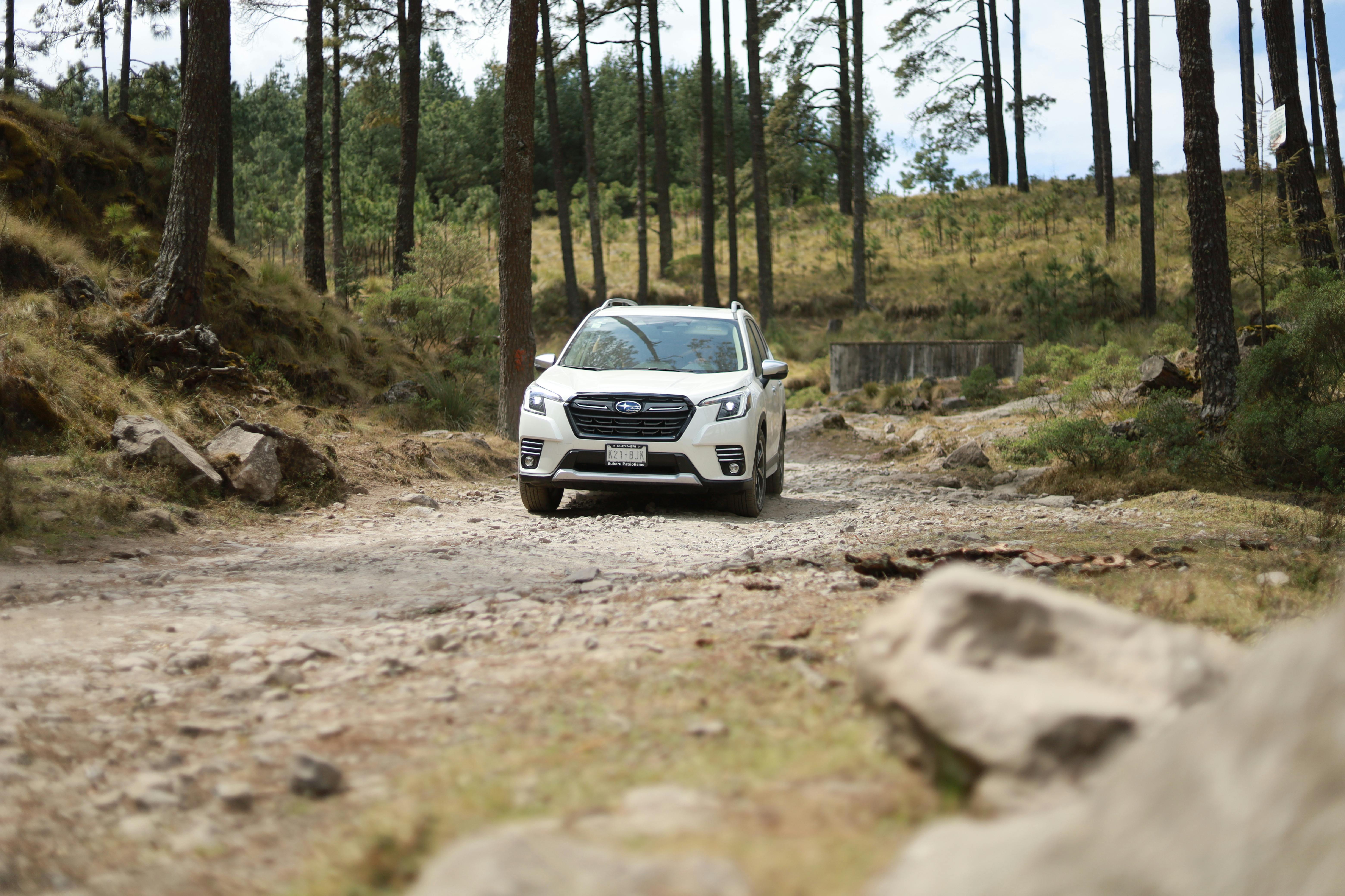 Subaru on Rural Road · Free Stock Photo