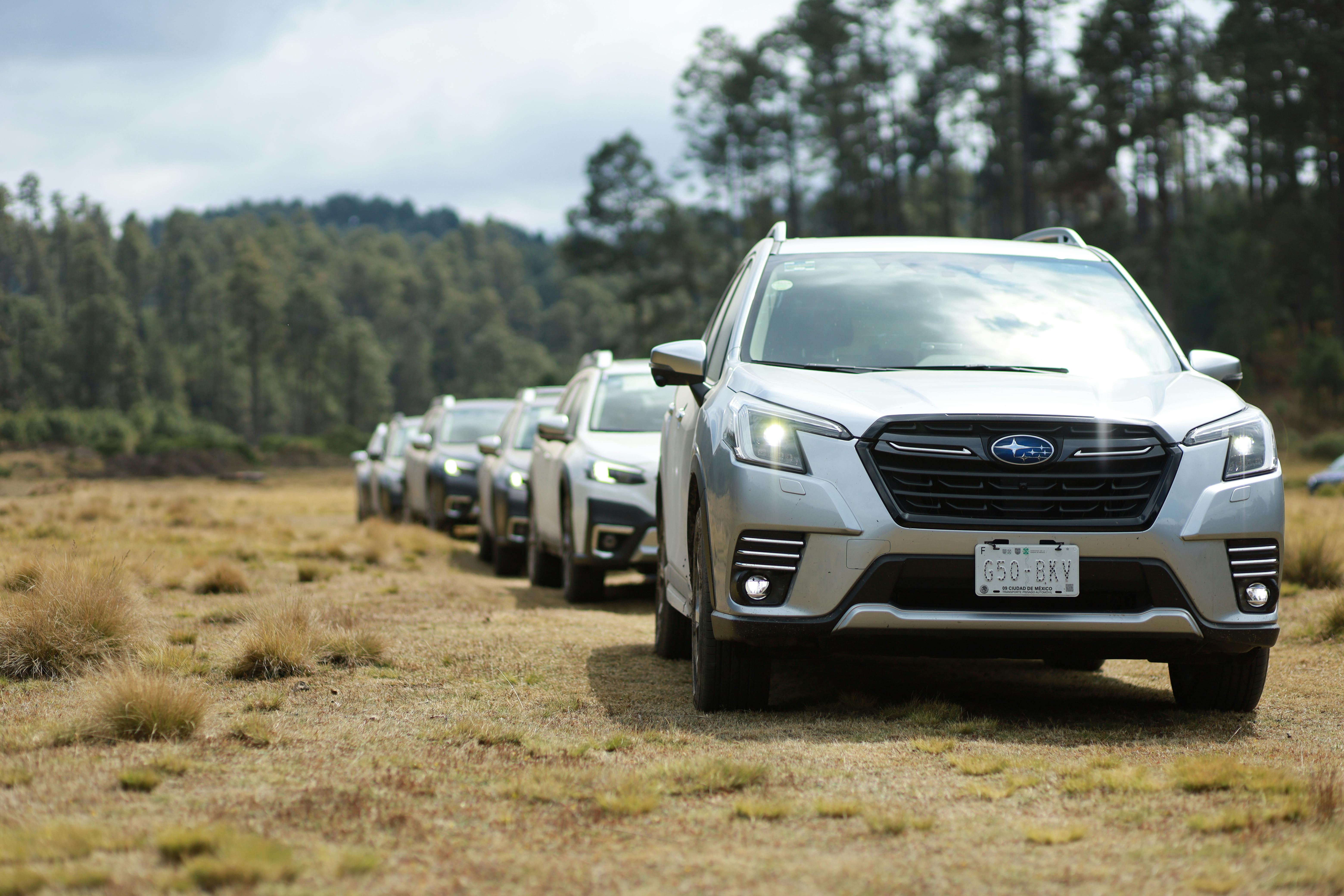 Subaru Forester in Forest · Free Stock Photo